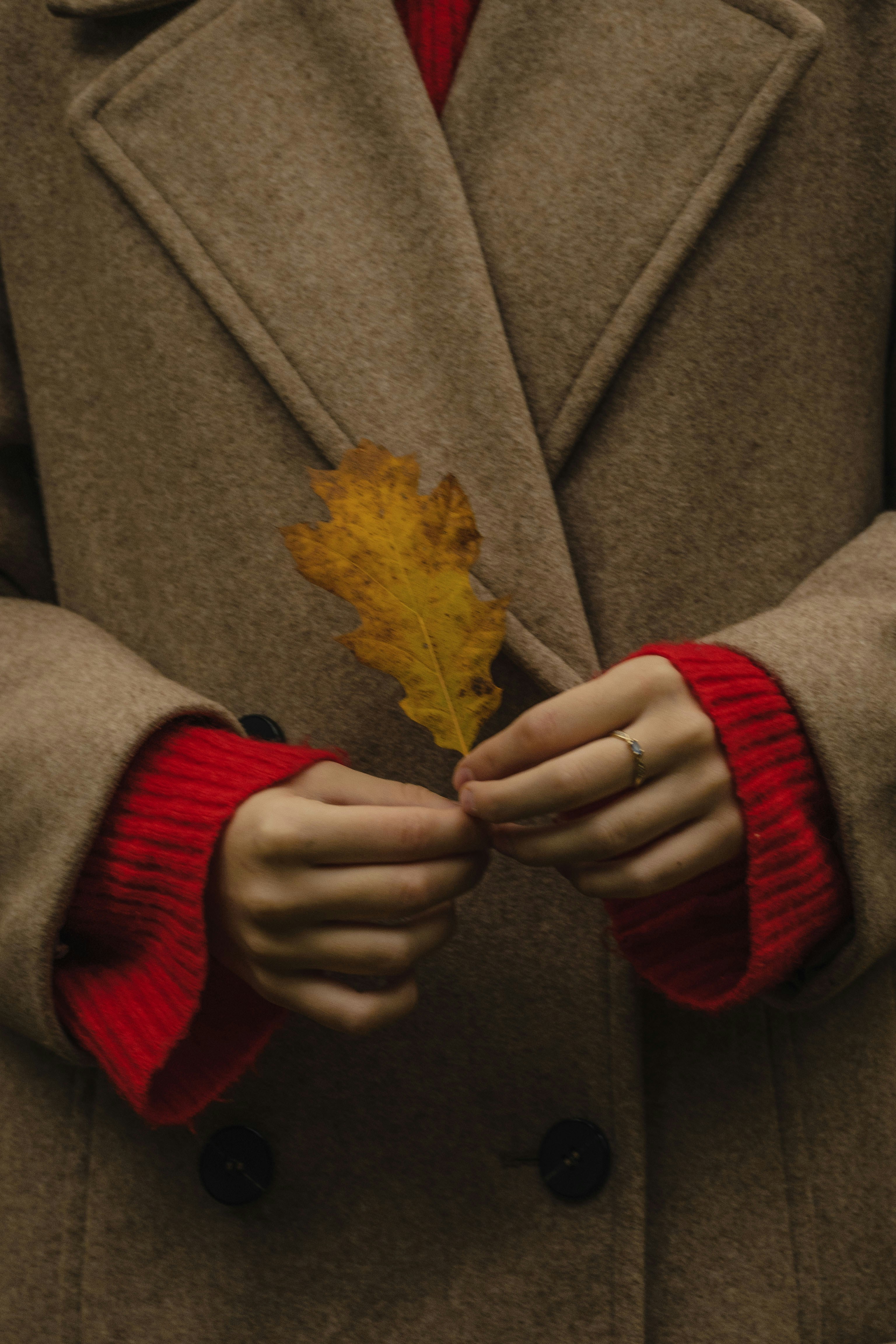 Cradled Autumn: A Yellow Leaf Between Red-Sleeved Hands