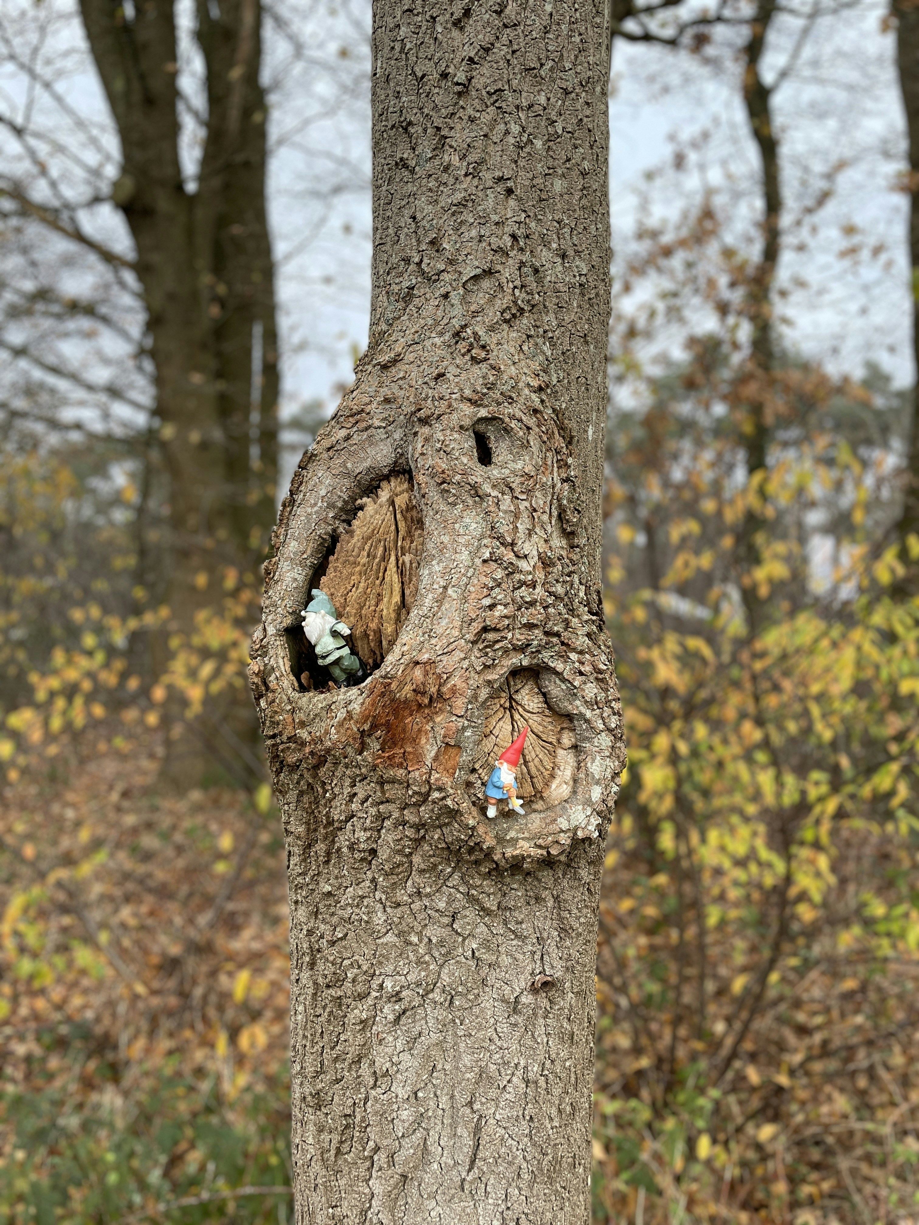Carved Hollow: Tiny Figures Nestle in a Gnarled Tree