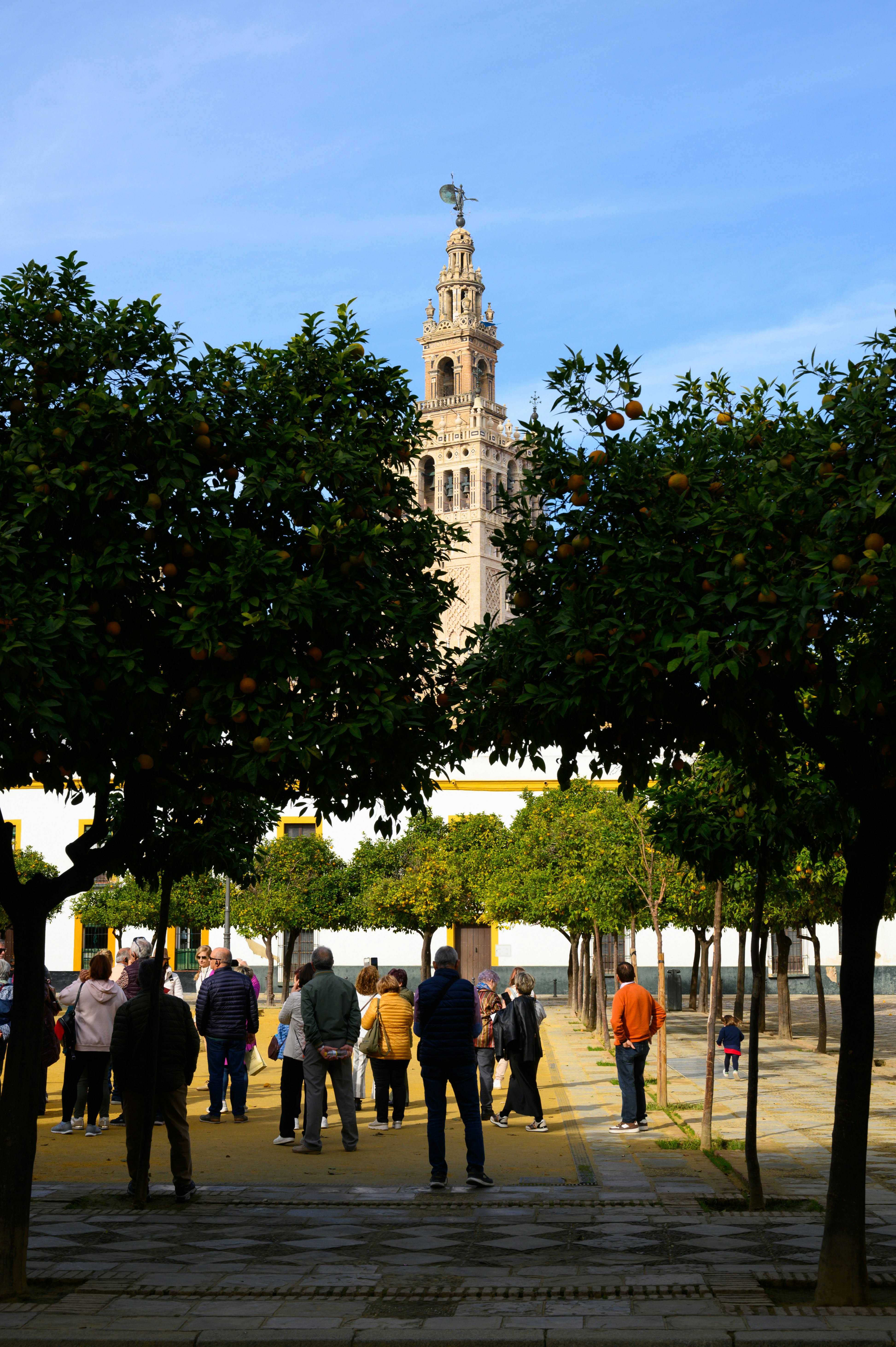 View on the giralda tower from the alcazar. 📍Seville, Spain.