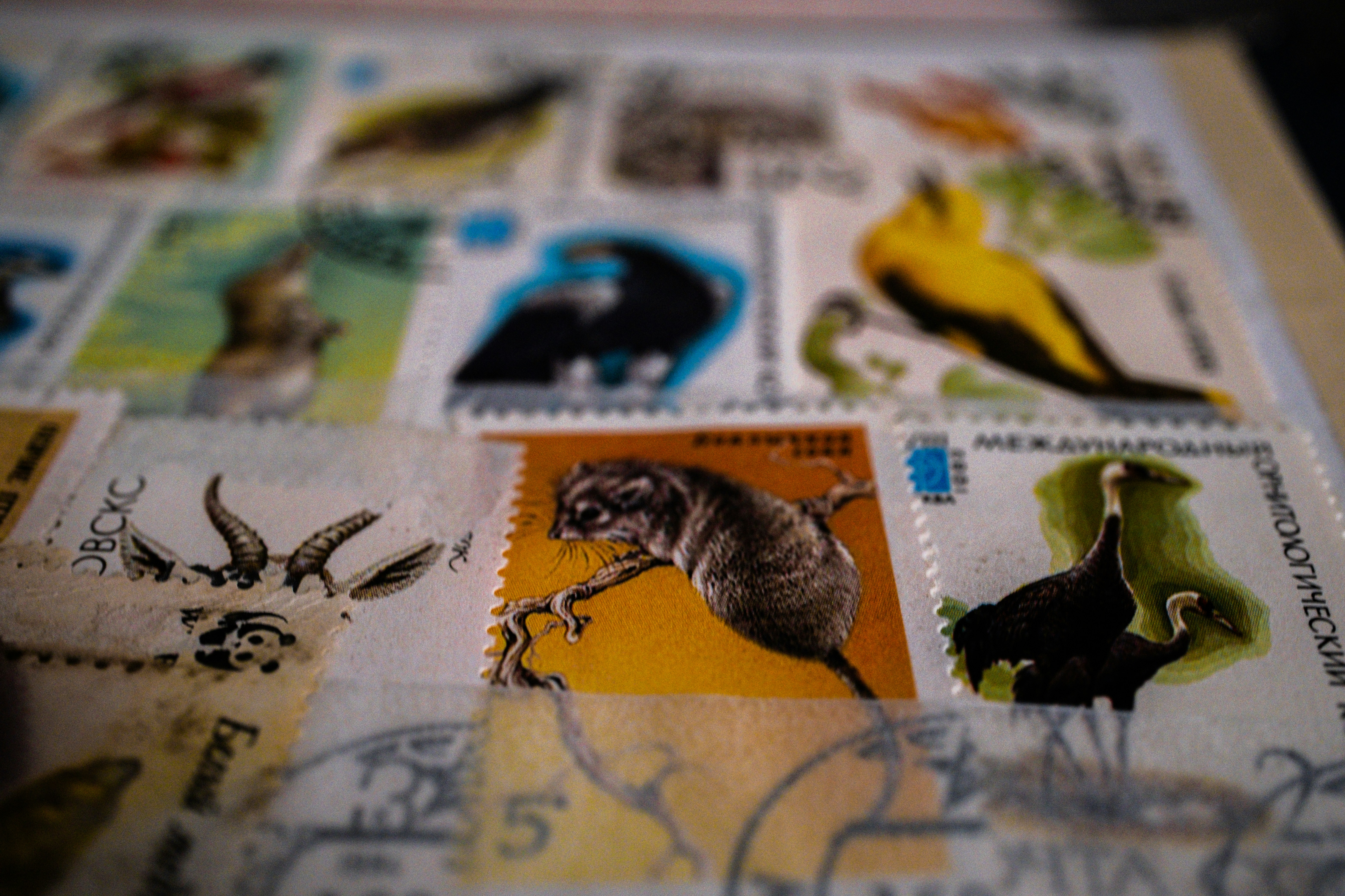 Un tas de timbres qui sont sur une table photo – Photo Encrer Gratuite ...