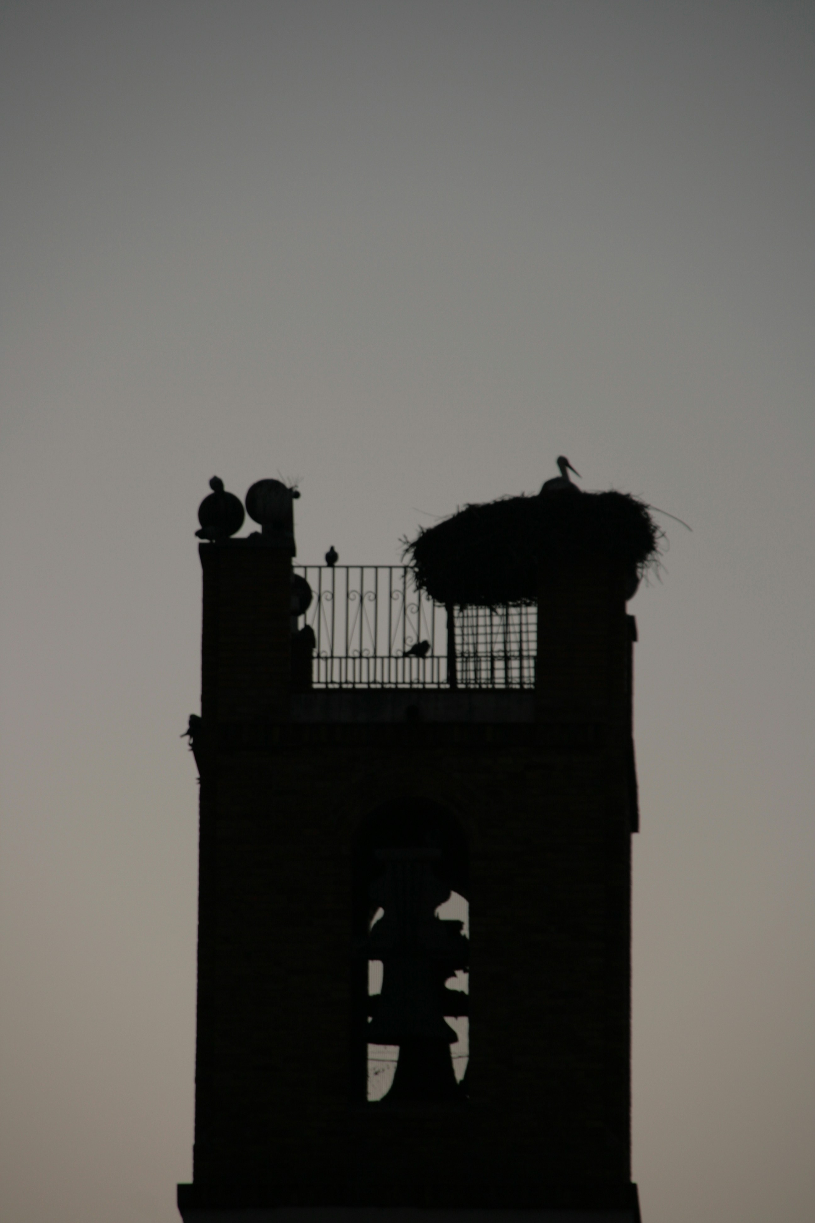 Photo by Gerard Cos with Canon EOS 400D