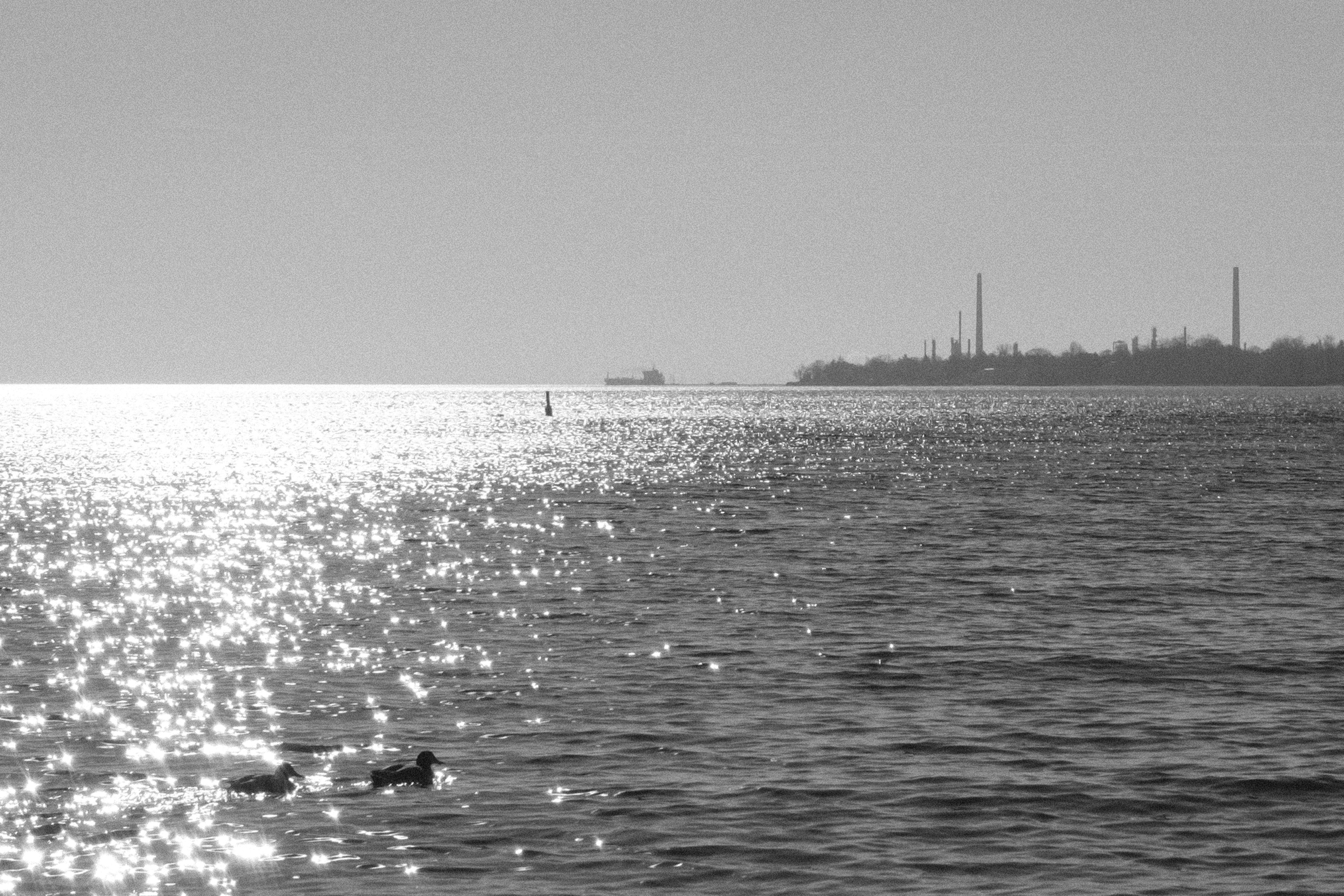 Glimmer on the Horizon: Distant Industry Meets Quiet Sea