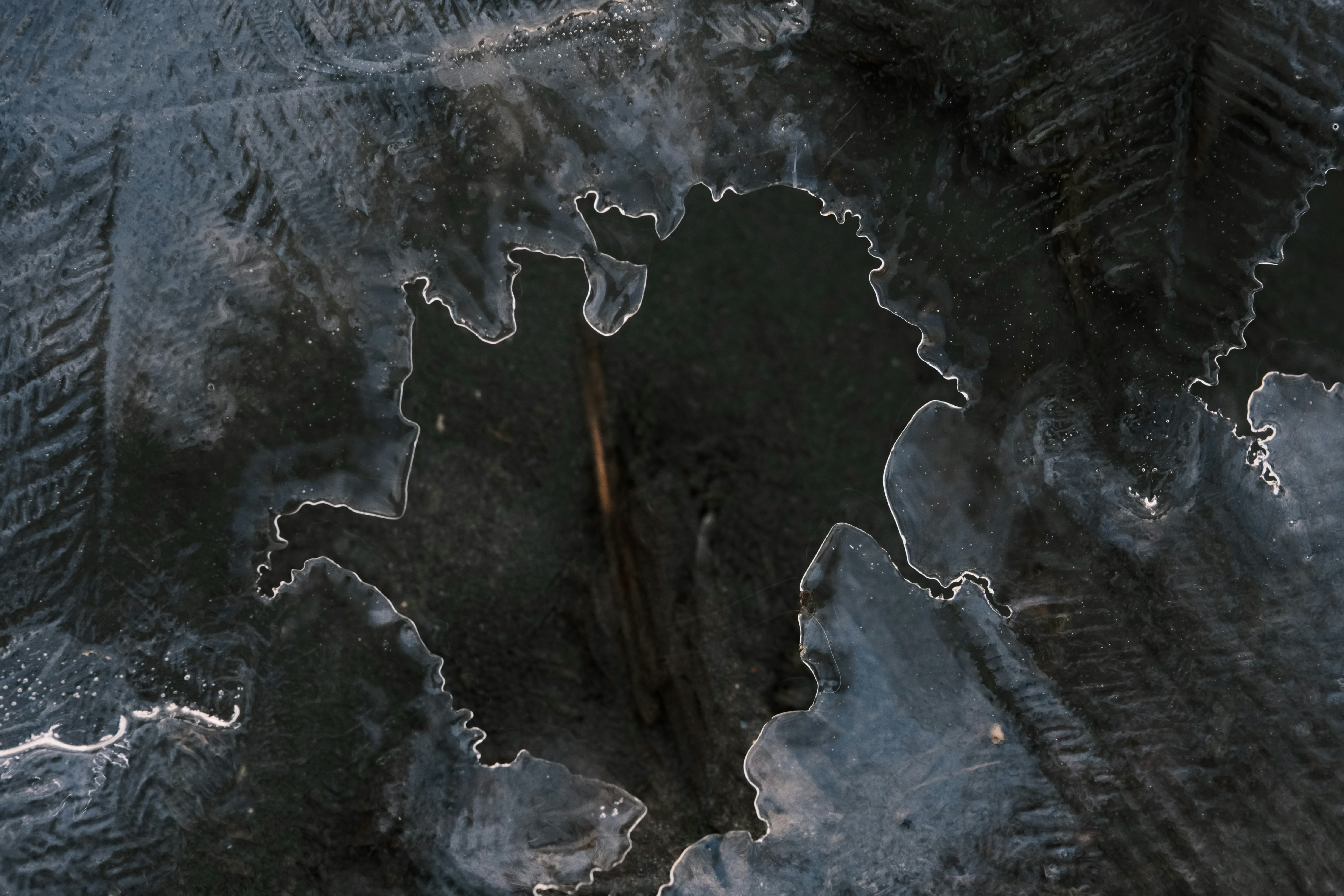 A close up view of ice on the ground photo – Free Black Image on Unsplash