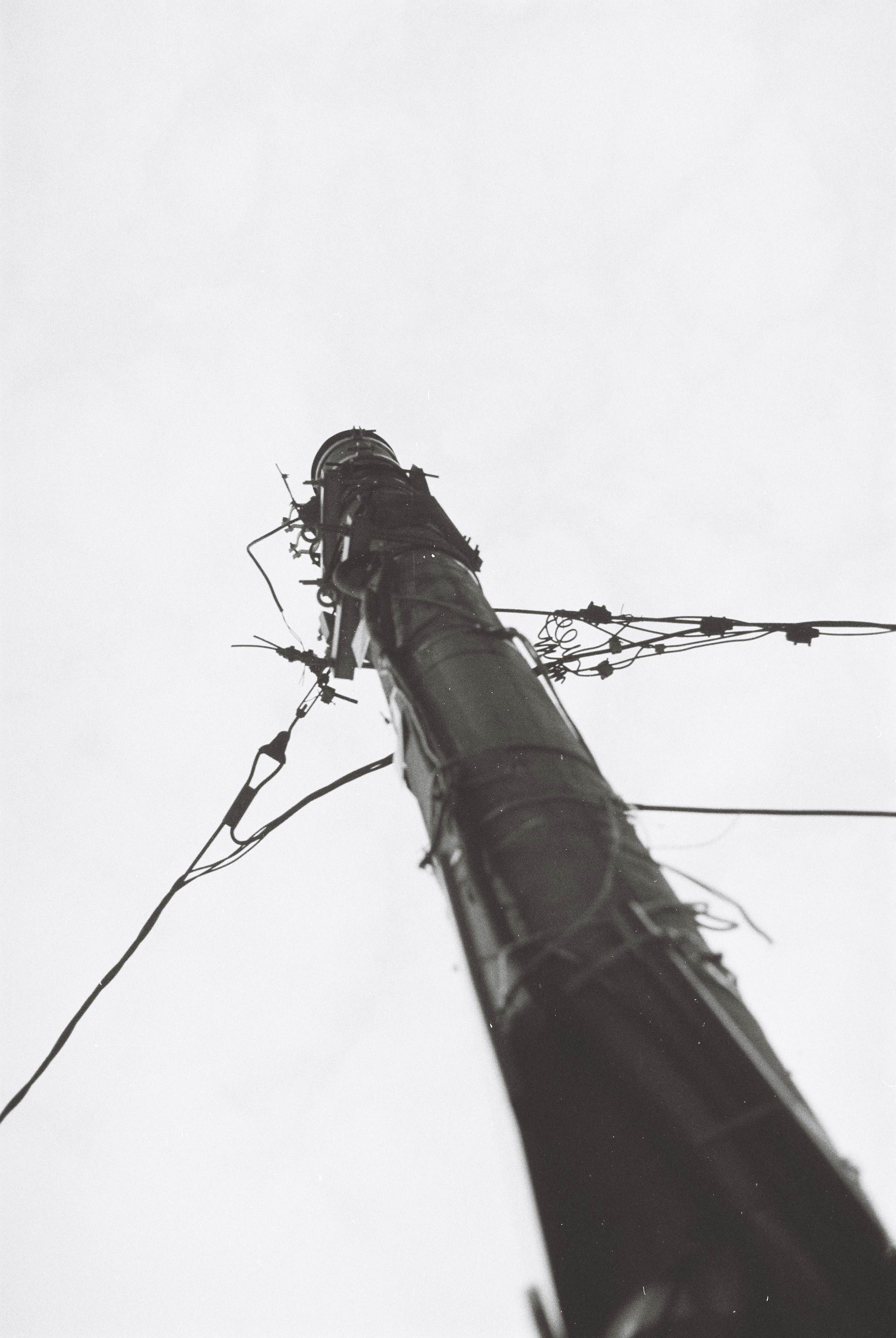 Photo by ana popescu with Fujifilm SP-3000