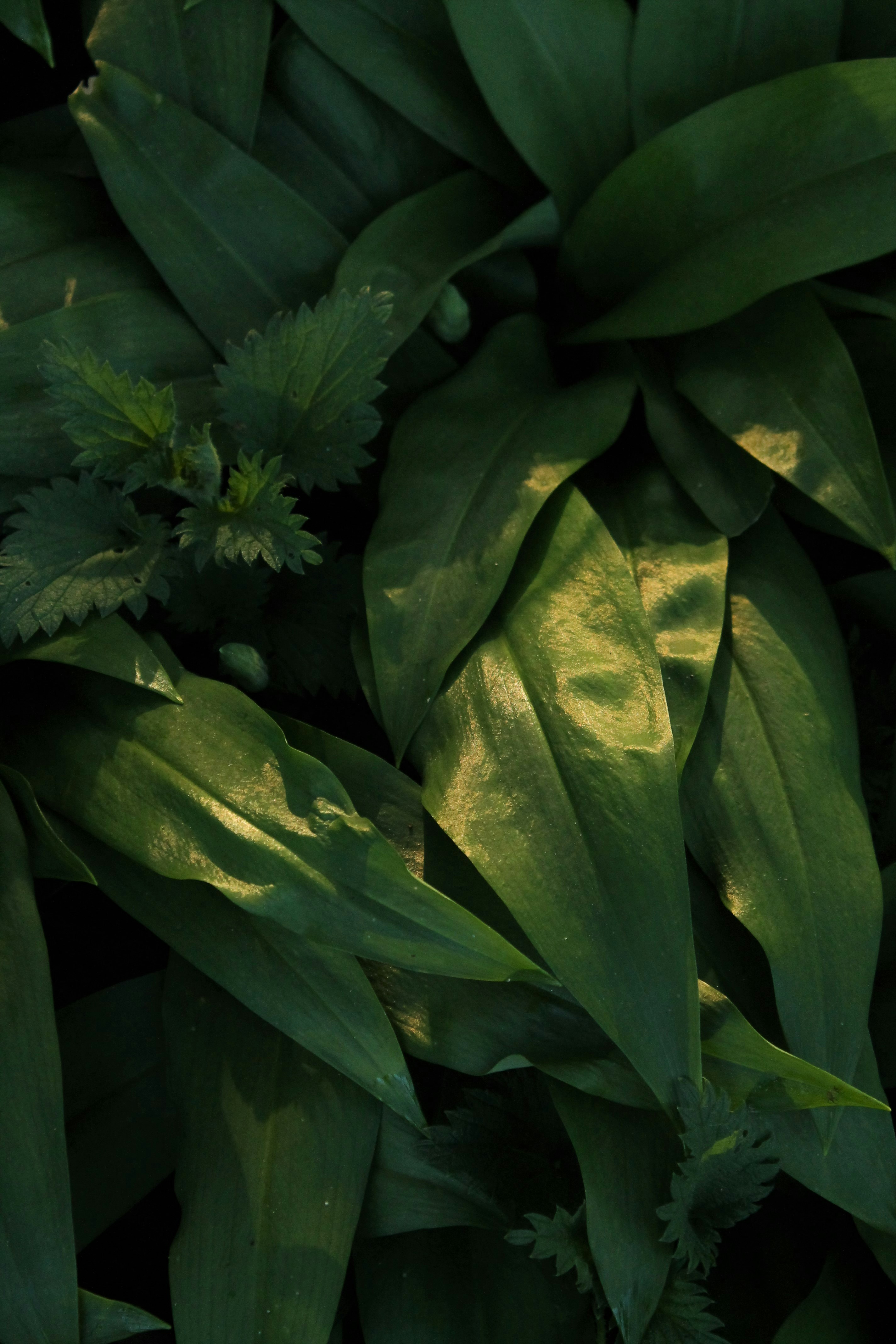 Photo by Wiktoria Skrzekotowska with Canon EOS 1100D