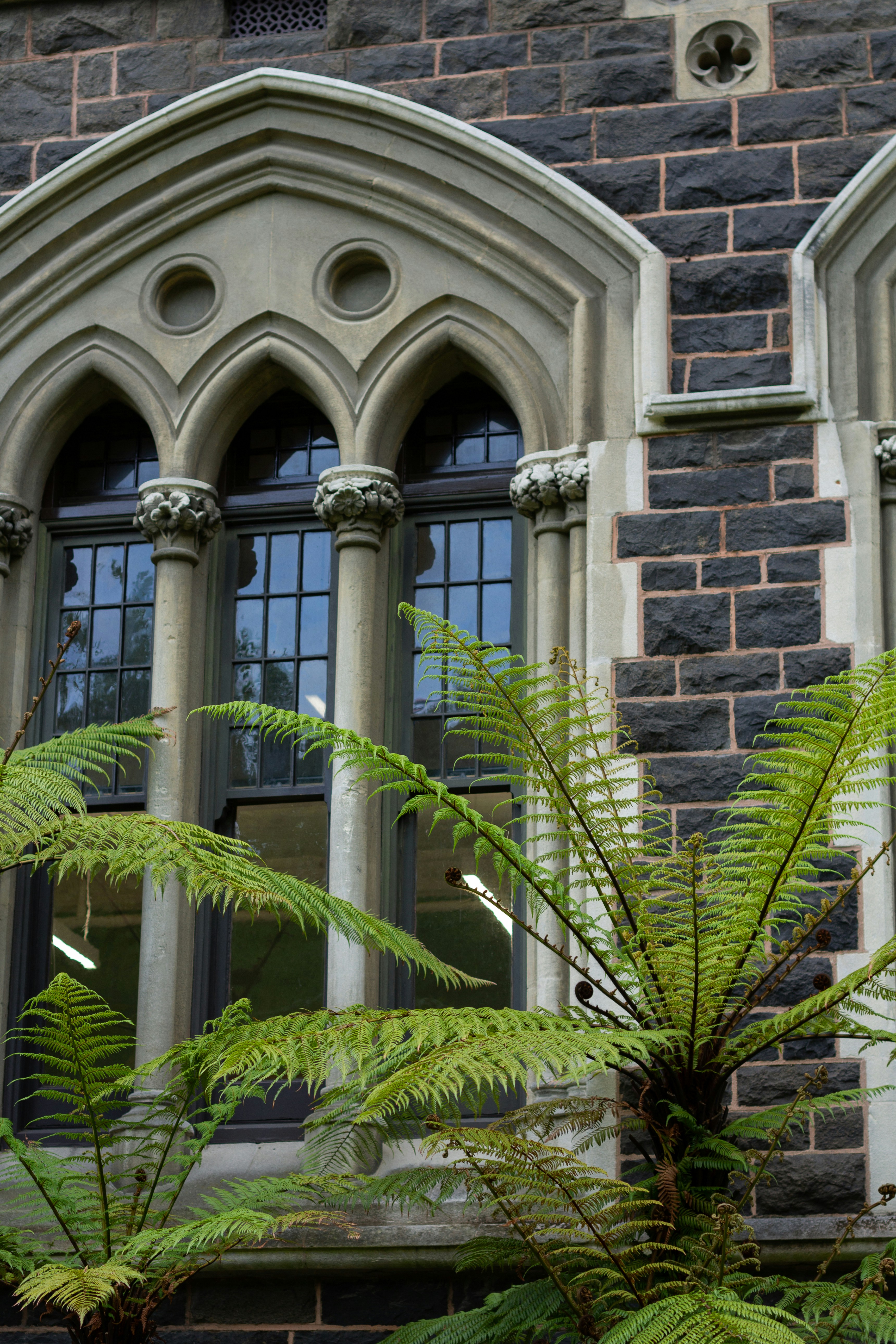 Green plants in front of a historical university building