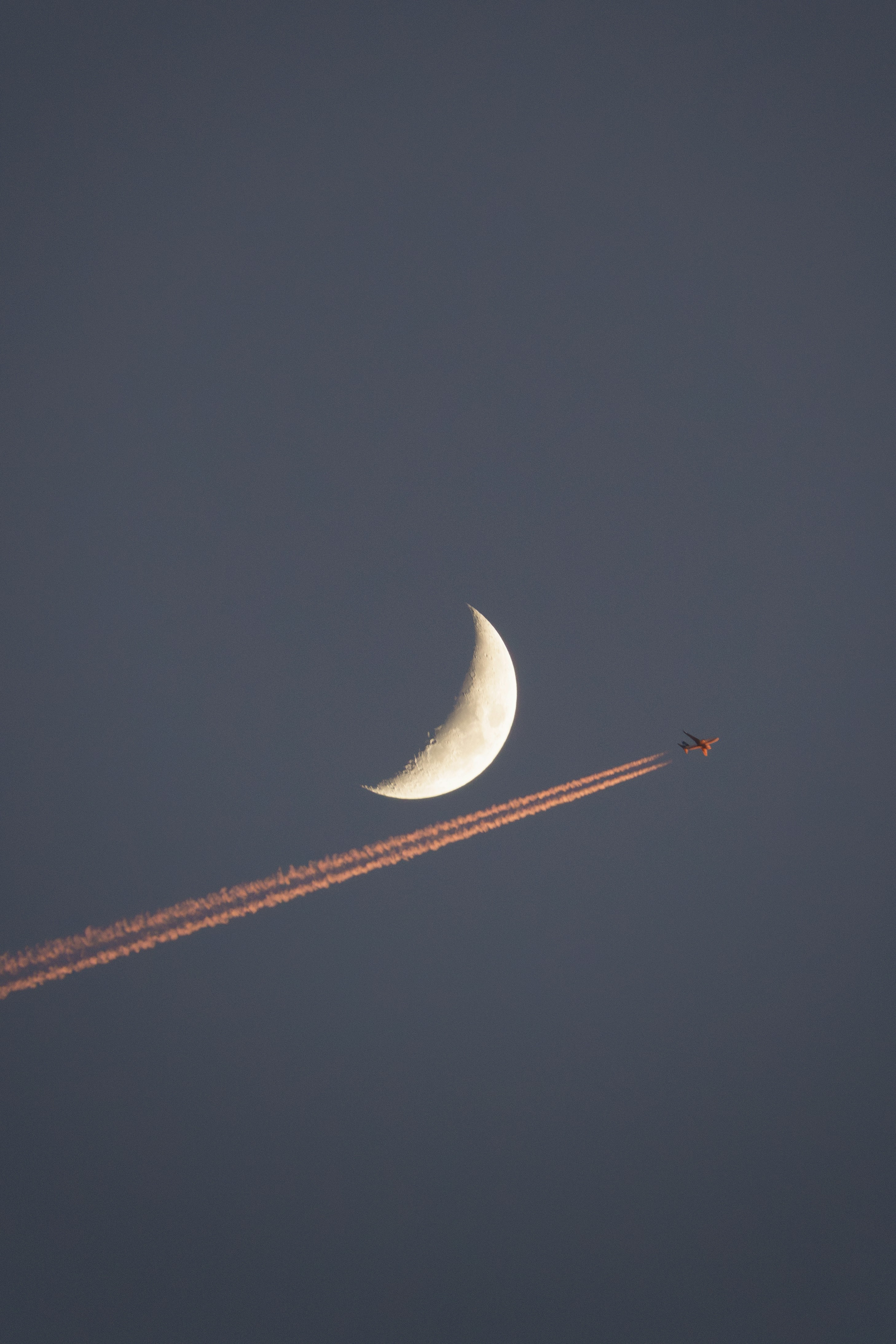 A plane flying in the sky with a half moon photo – Free Memphis Image ...
