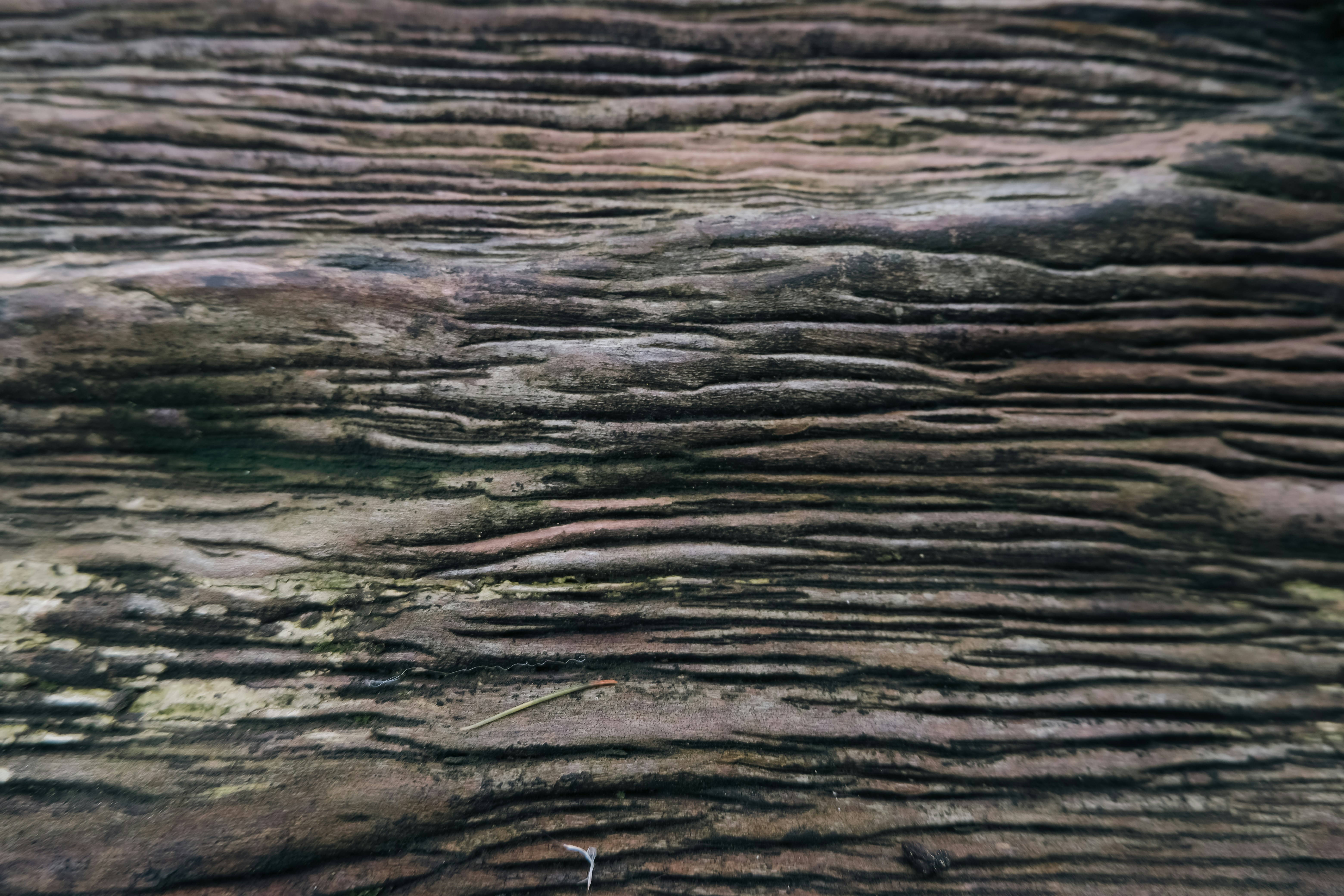 Photo by Anna Khmel with Fujifilm X-T30