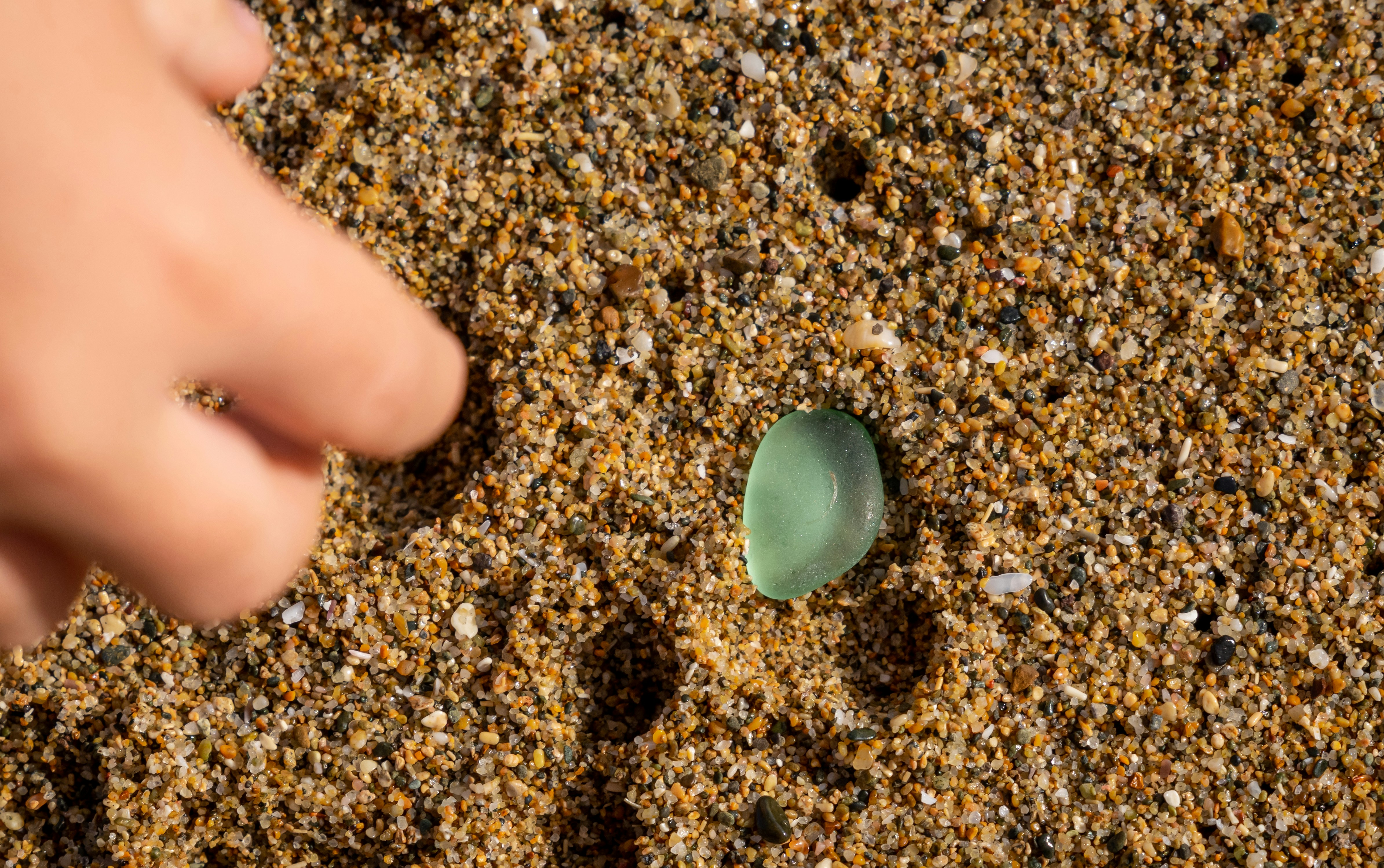 A hand reaching for a green object on the ground photo – Free Food ...