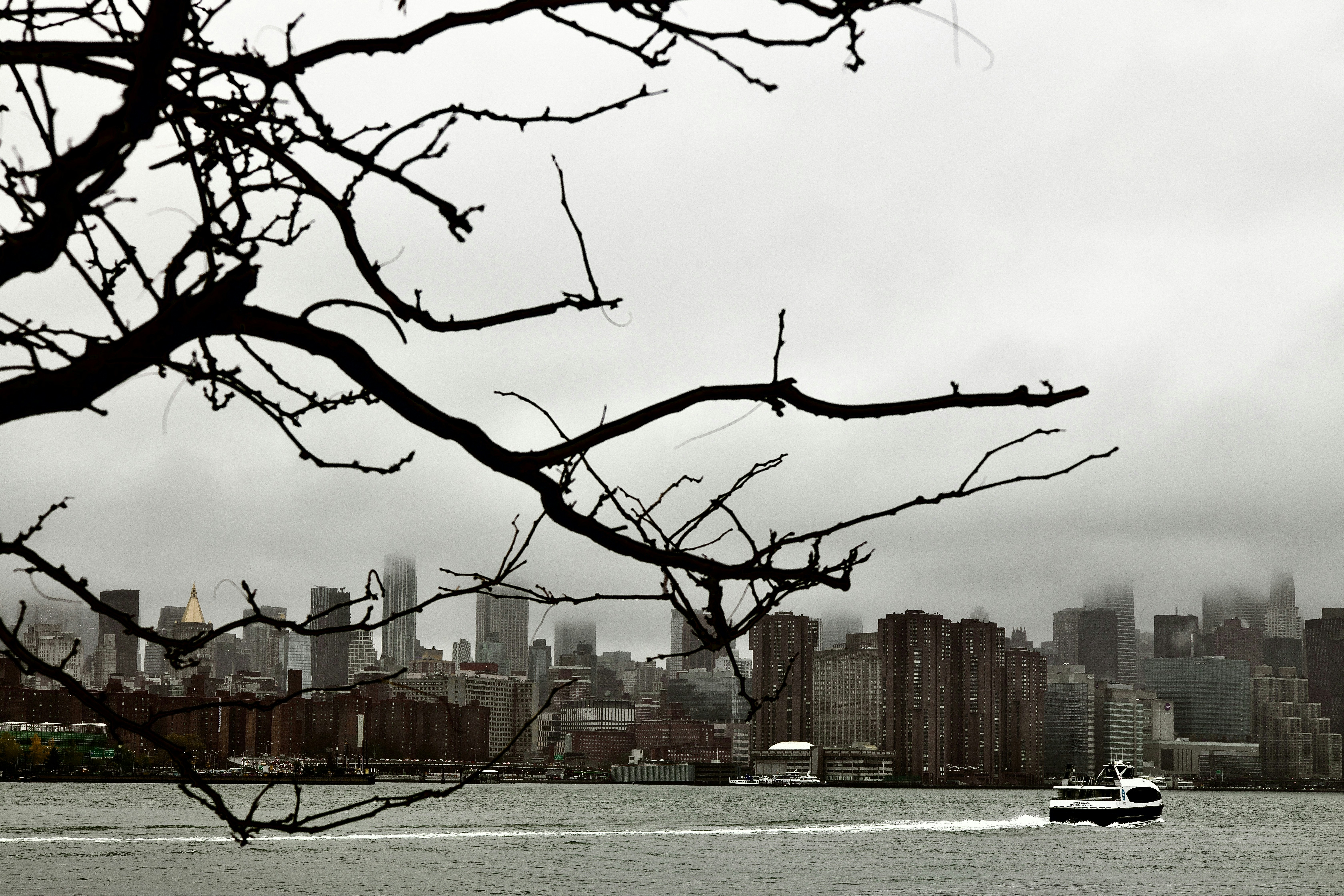 Ferry sailing past a fog-shrouded city skyline framed by bare branches.
