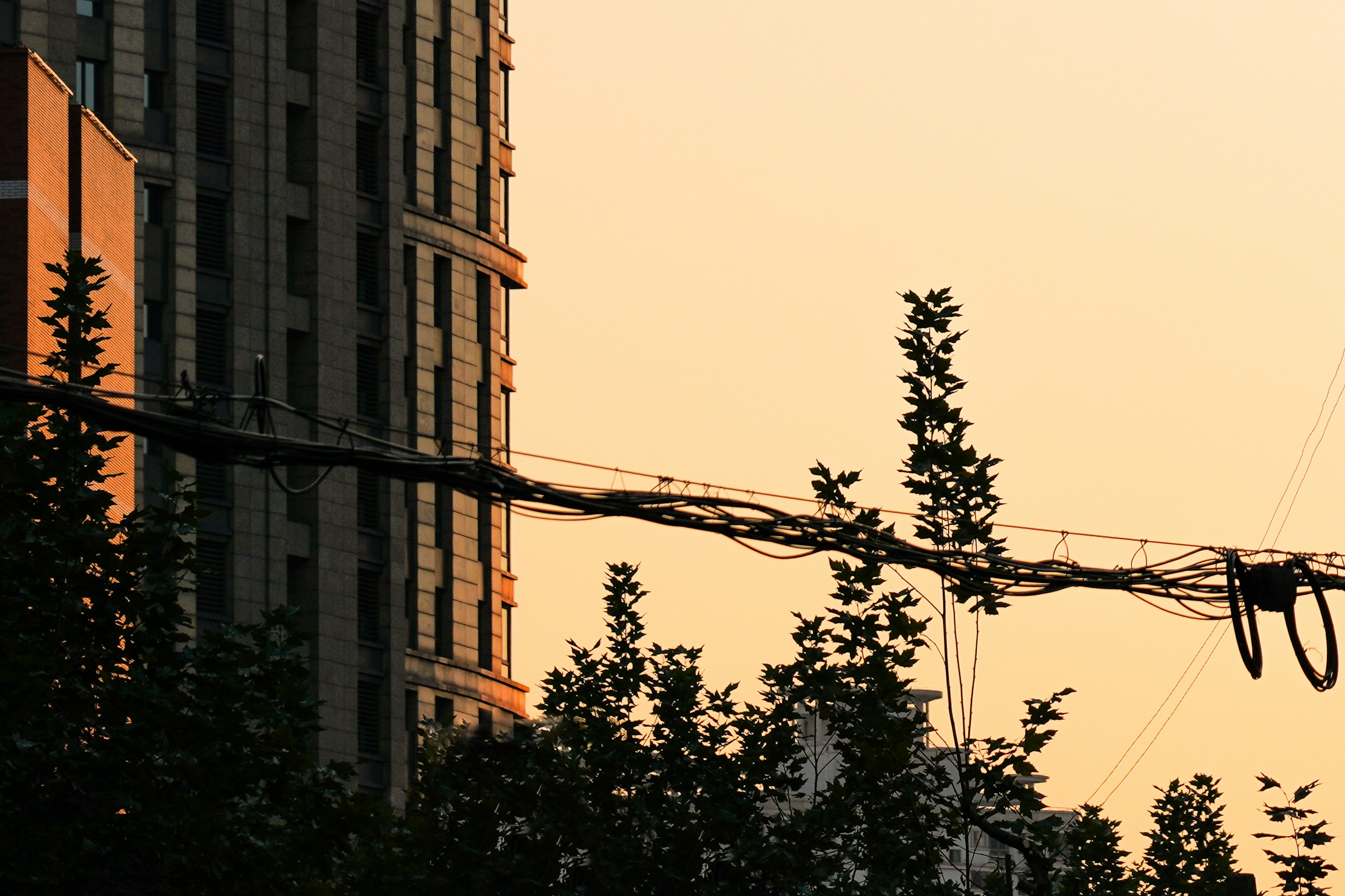 Gilded Horizon: Silhouette, Wires, and Brick Edge at Dusk