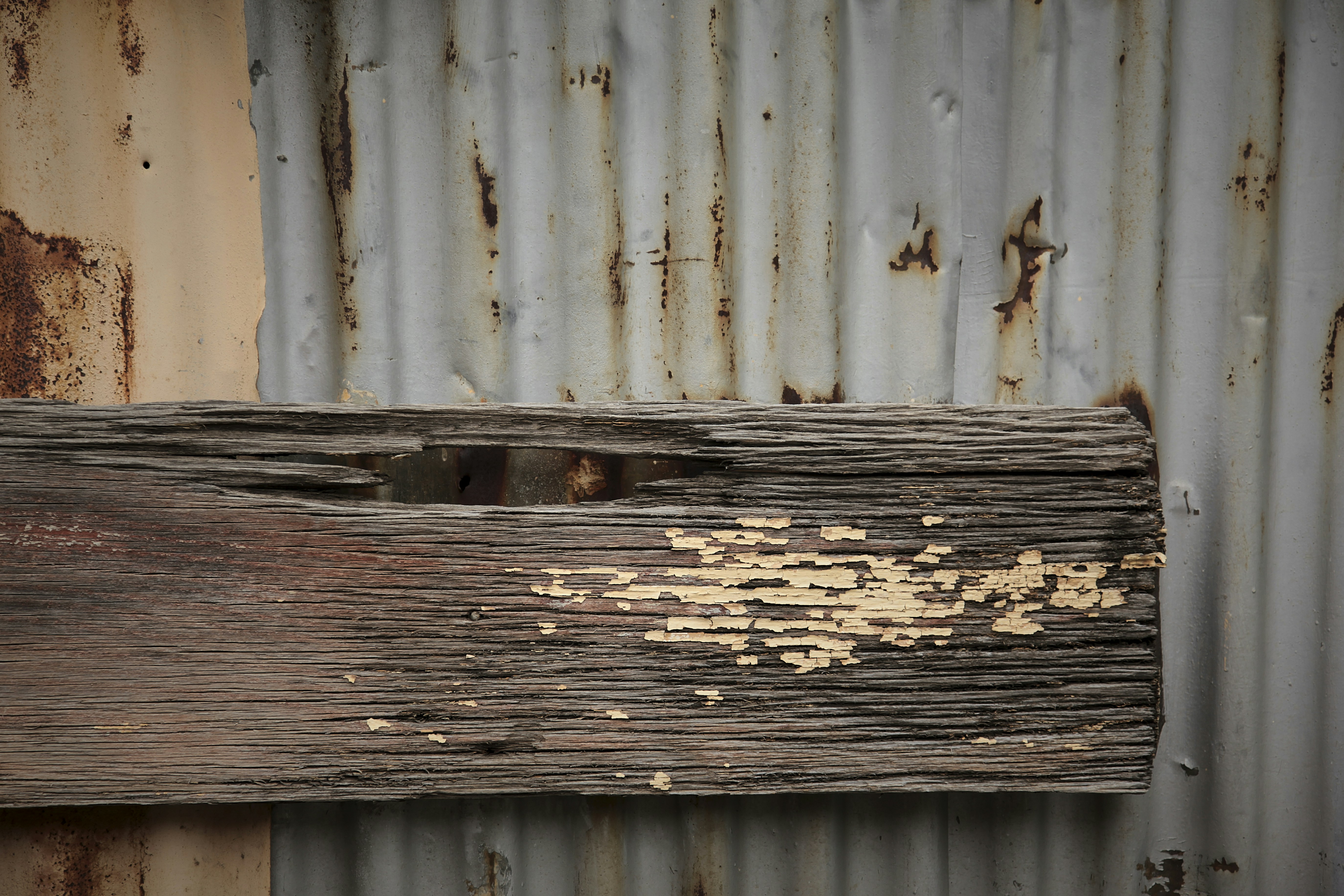 Close-up of a weathered wooden plank with peeling paint, set against a backdrop of corrugated metal. The textures and colors tell a story of age and resilience.