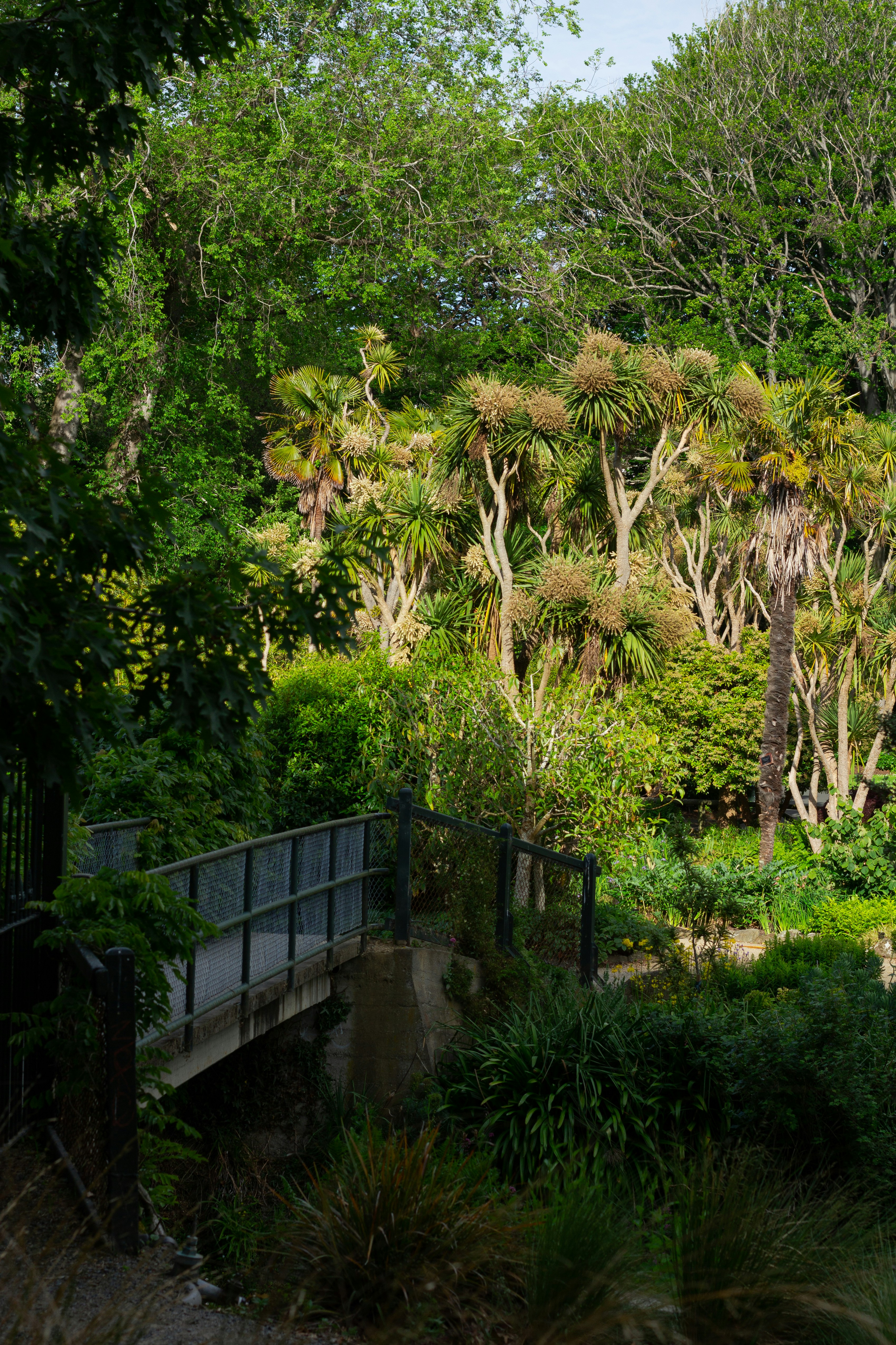 Dunedin Botanical Garden