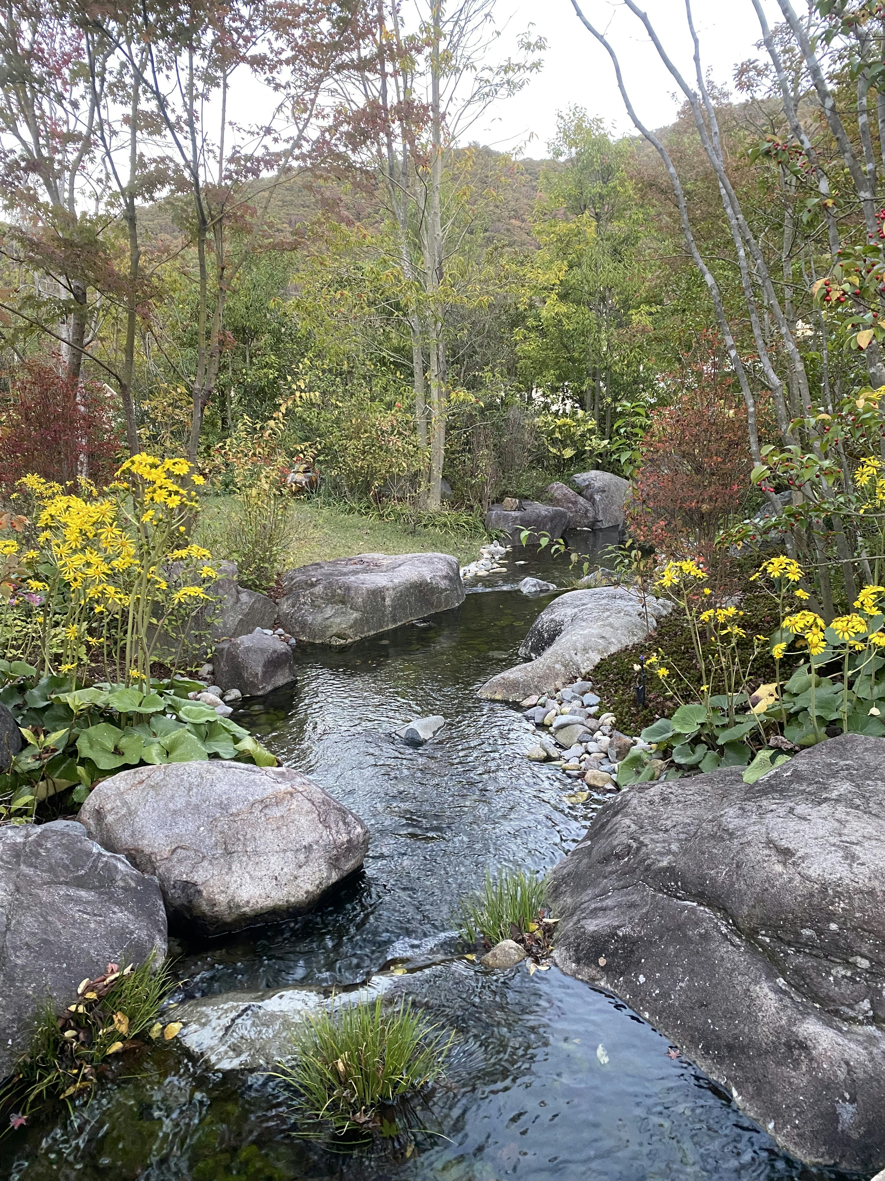 Whispering Stream Woven Through an Autumn Rock Garden