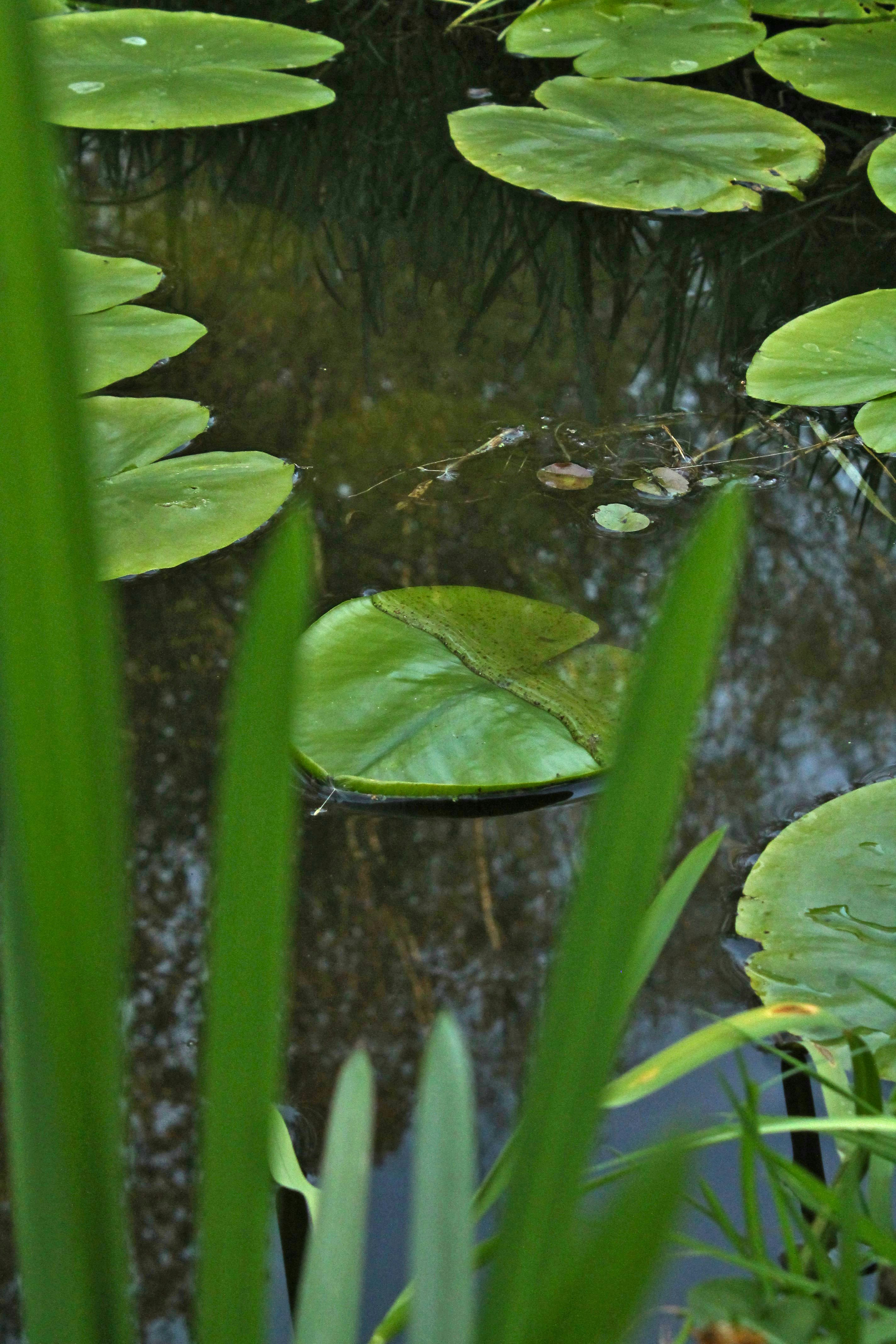 Photo by Wiktoria Skrzekotowska with Canon EOS 1100D