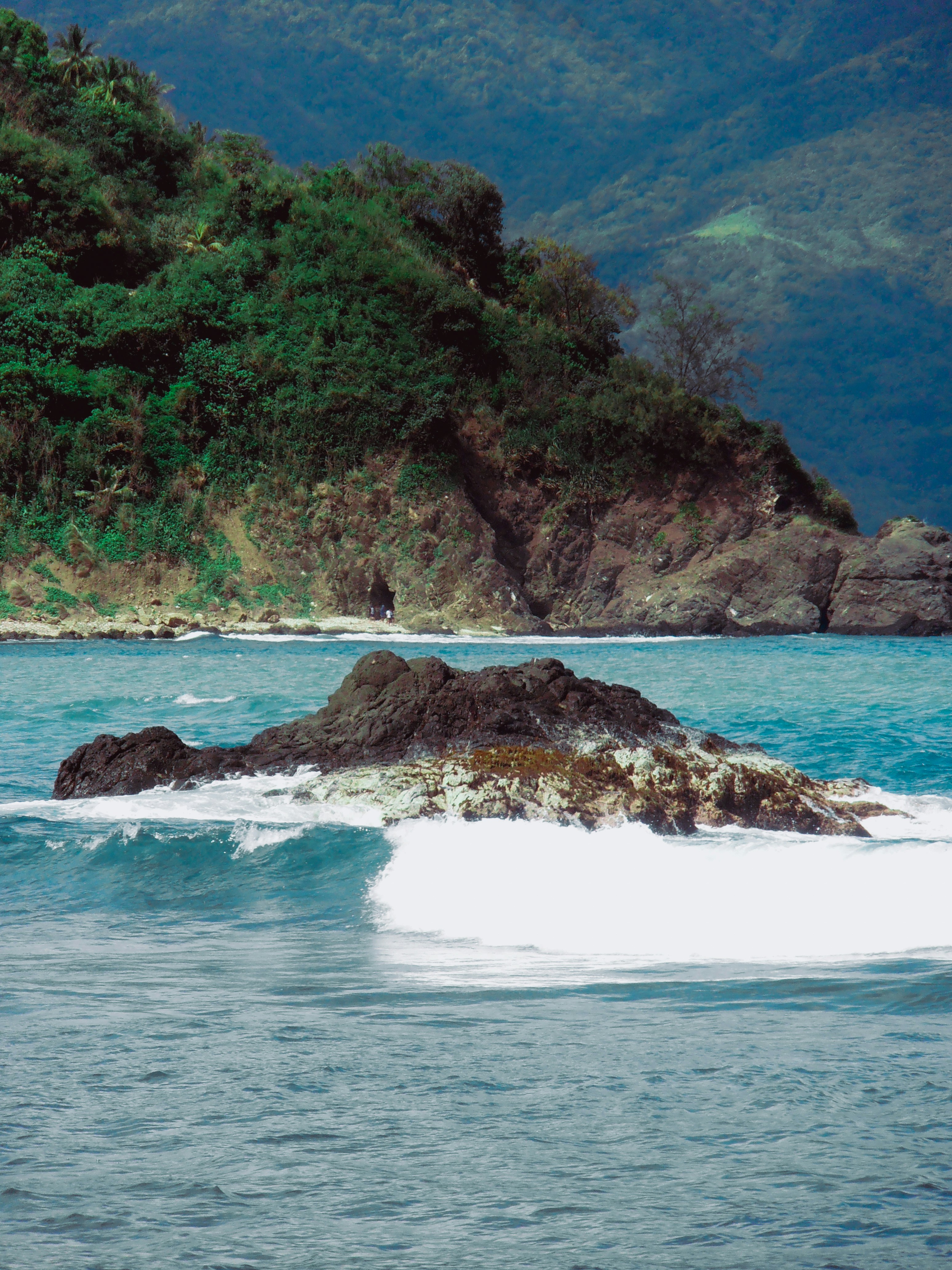 Coastal Rock and turquoise bay under forested cliff