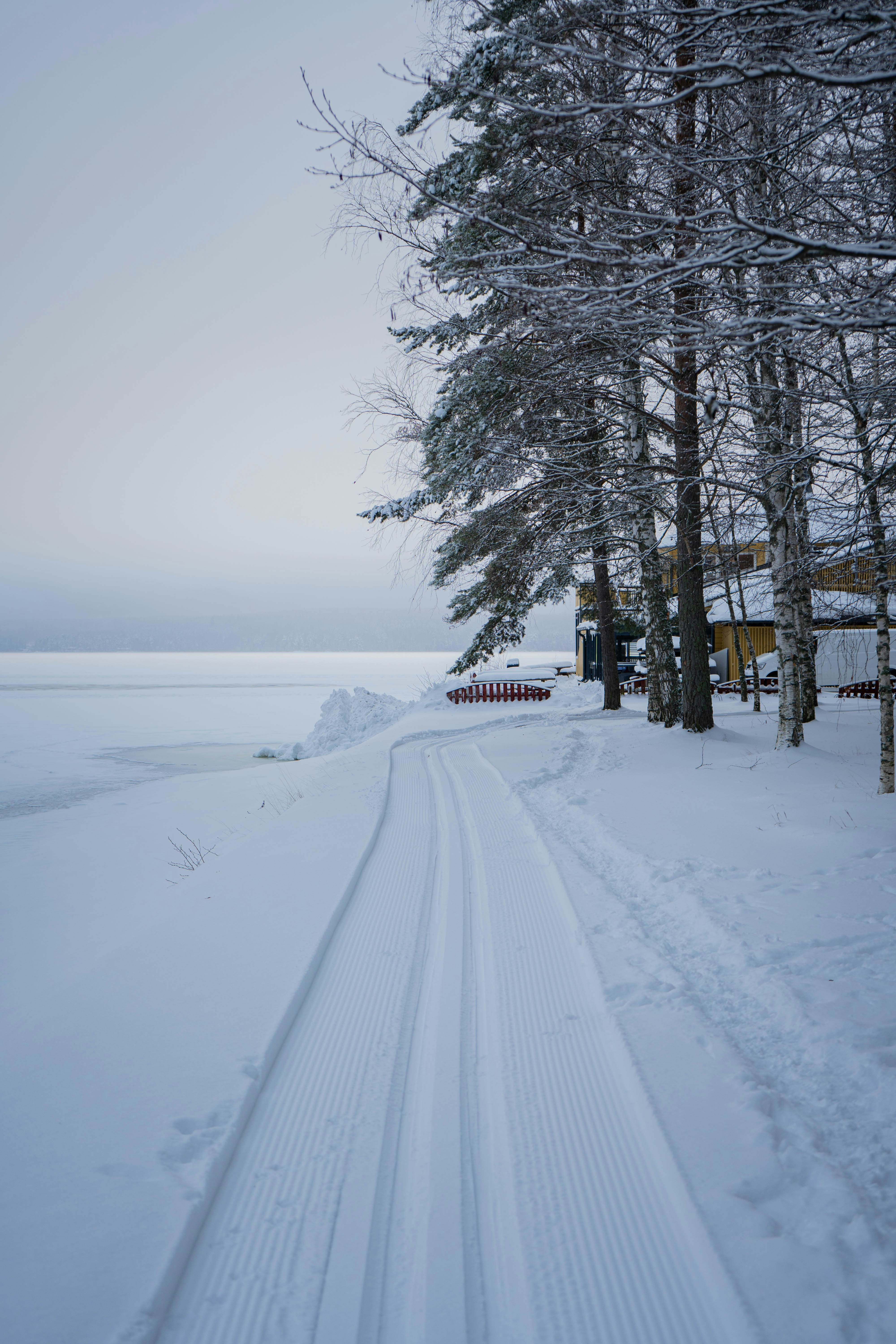 Parallel Tracks Through a Quiet Winter Lakefront