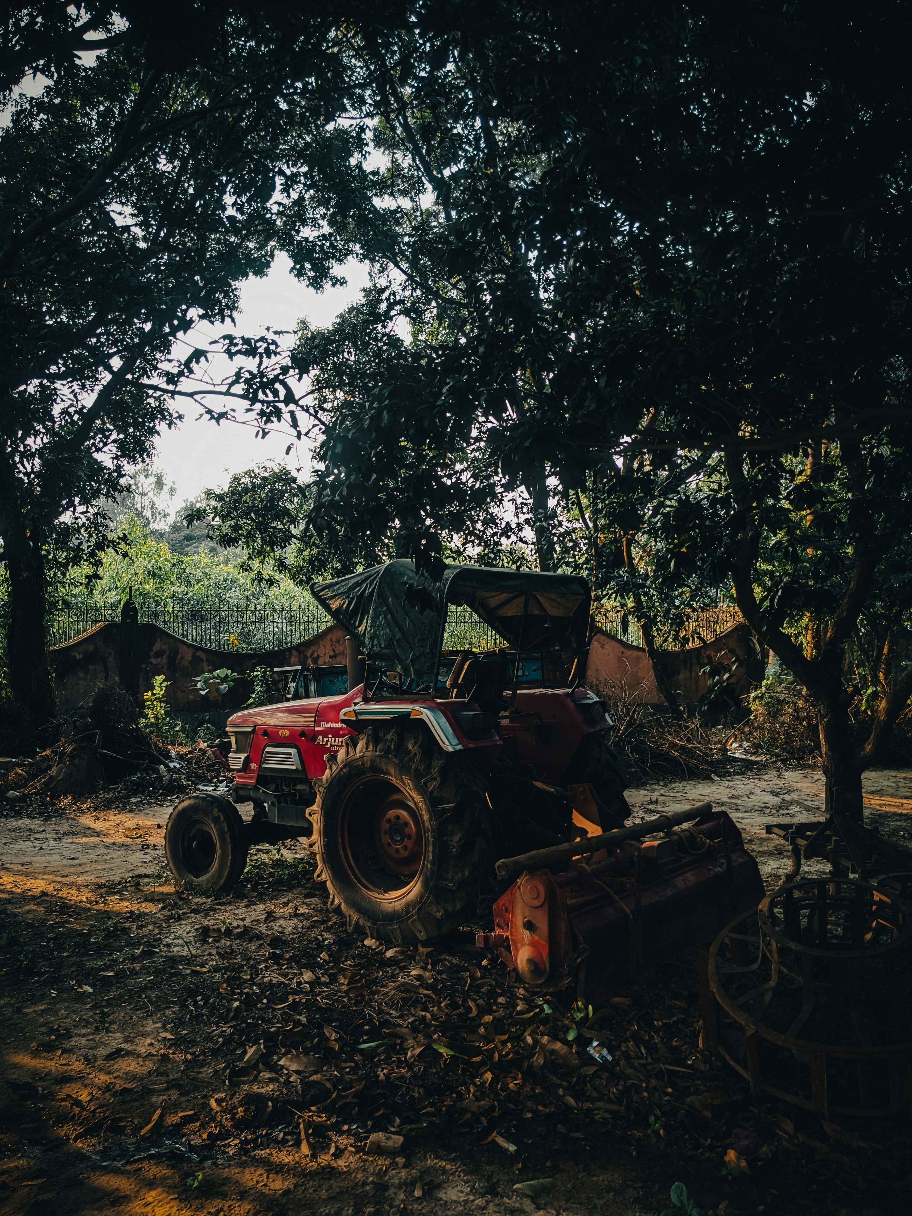 Red Tractor in the Dappled Clearing