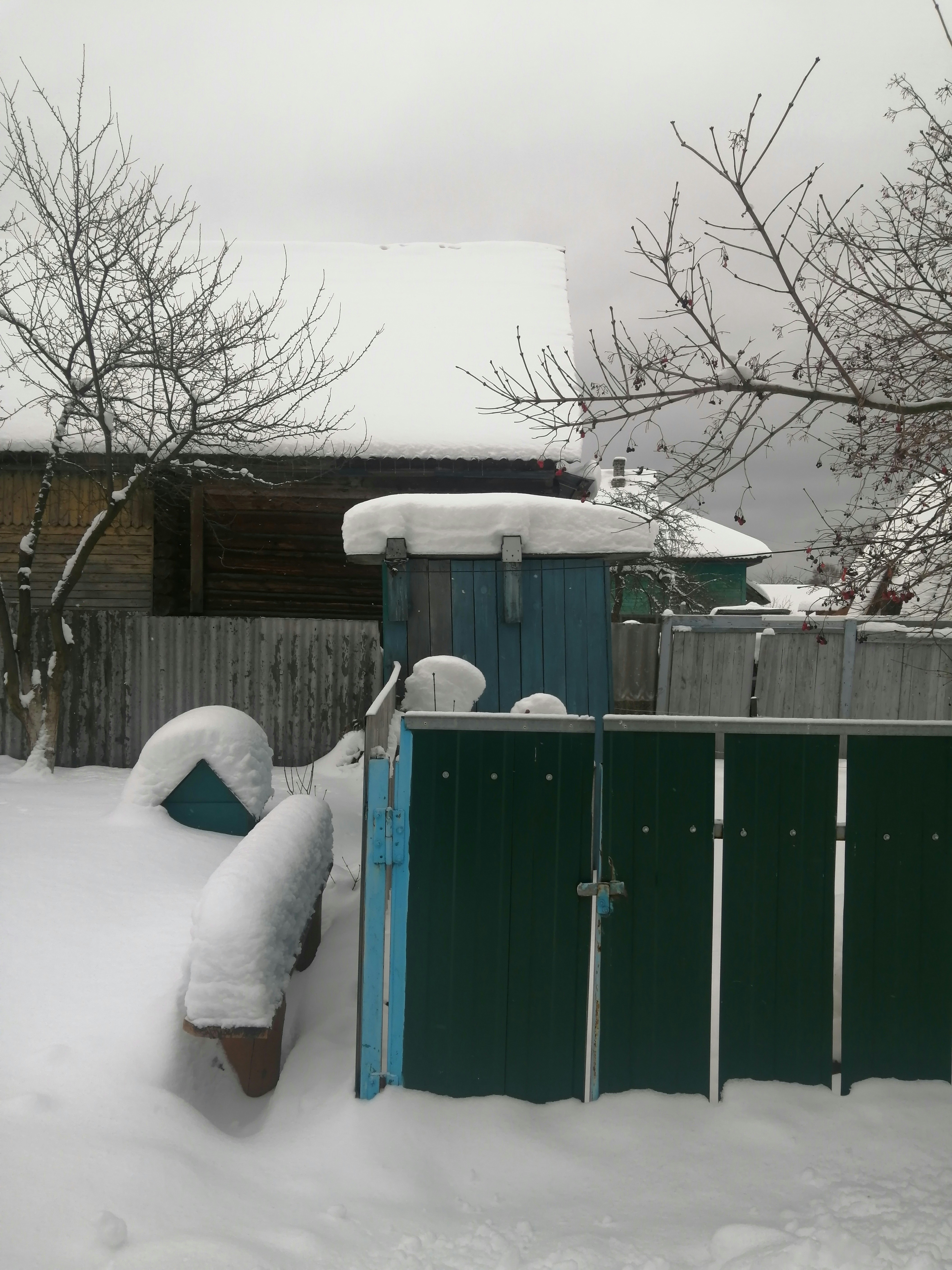 Blue Gate in a Snowbound Yard: Quiet Winter Framing of a Weathered Fence