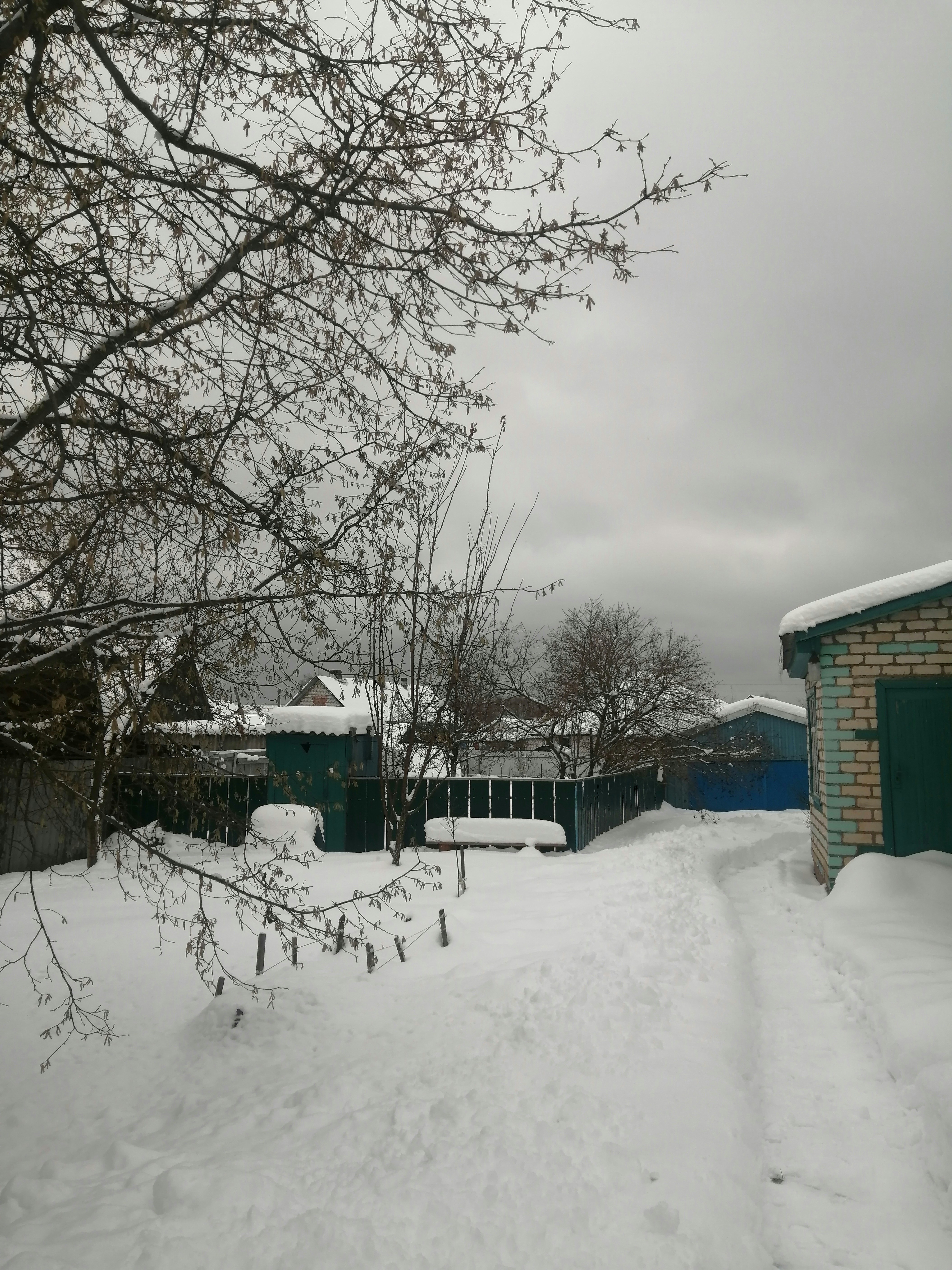 Emerald Door at the Edge of a Snowbound Yard