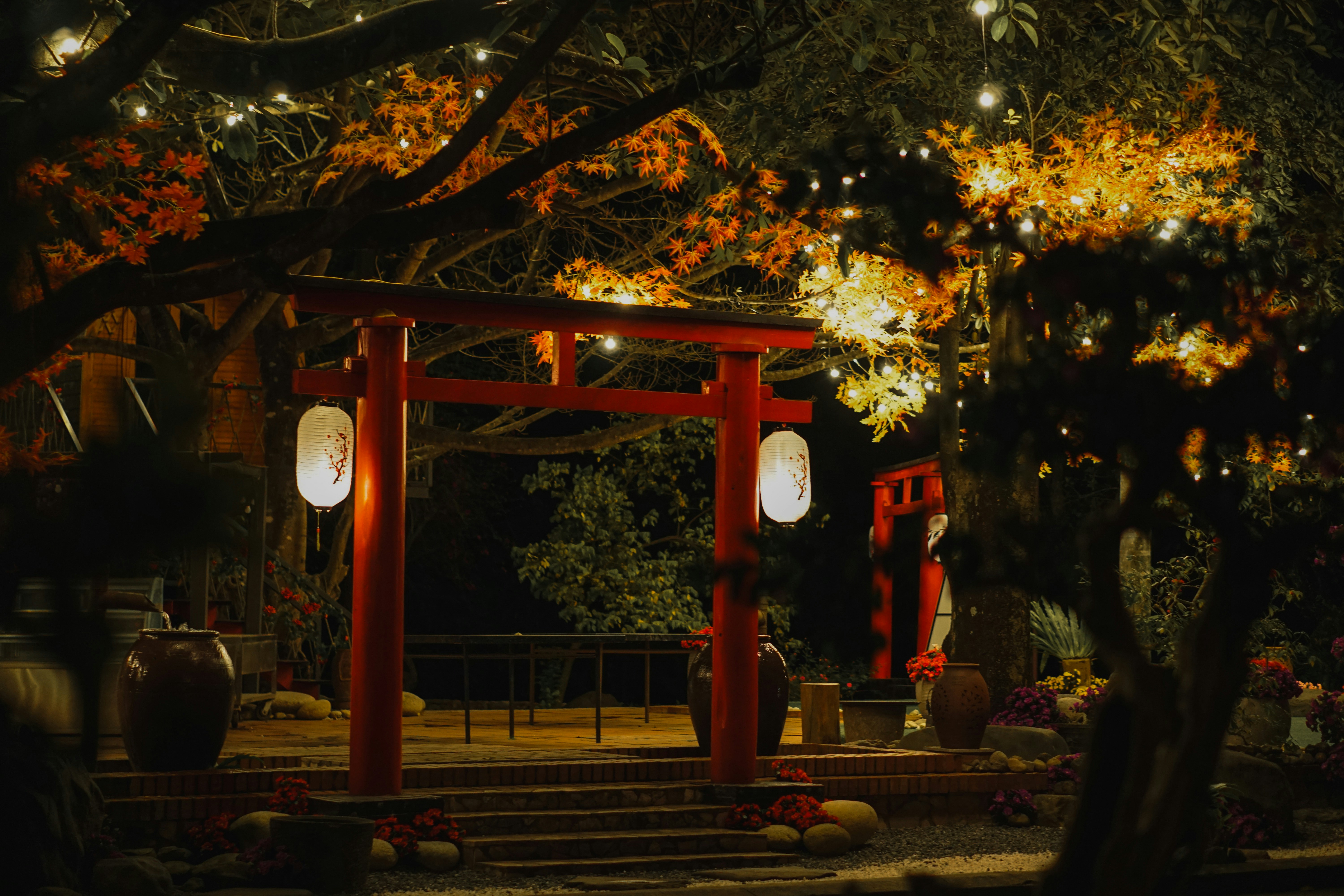 A red tori tori tori tori tori tori tori tori tori tori tori tori tori ...