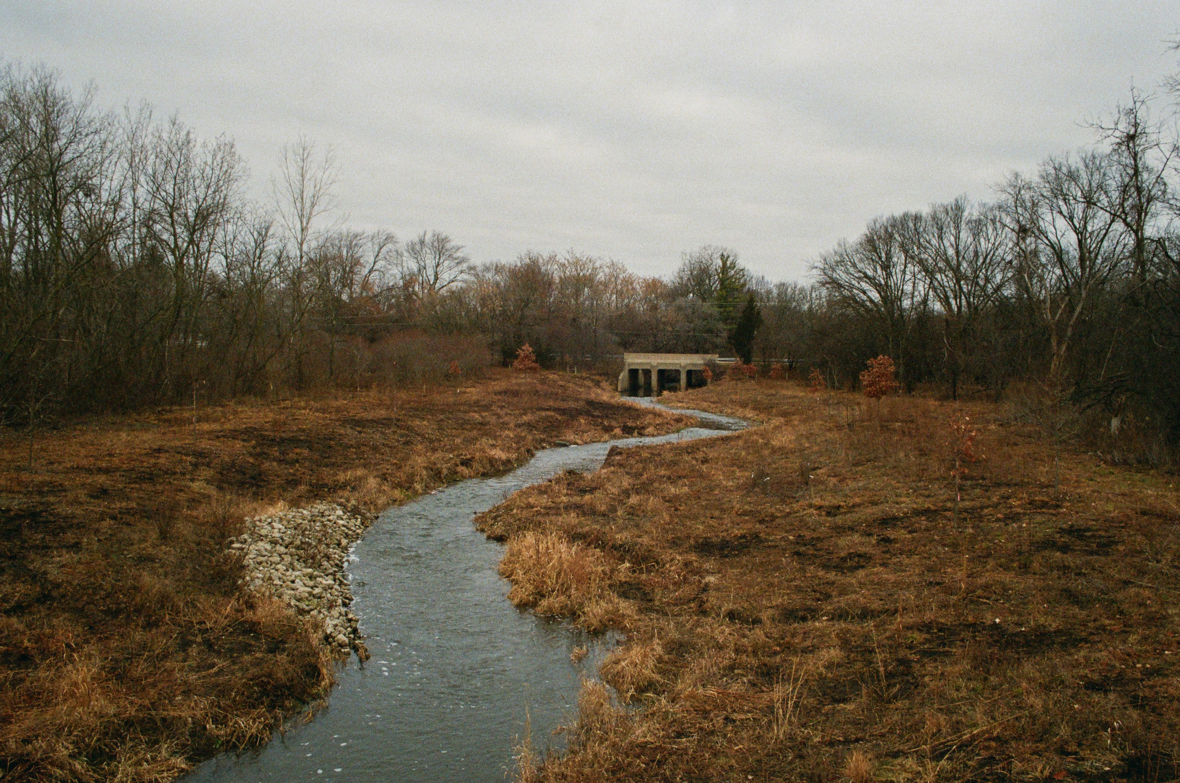 A stream running through a dry grass covered field photo – Free Green ...