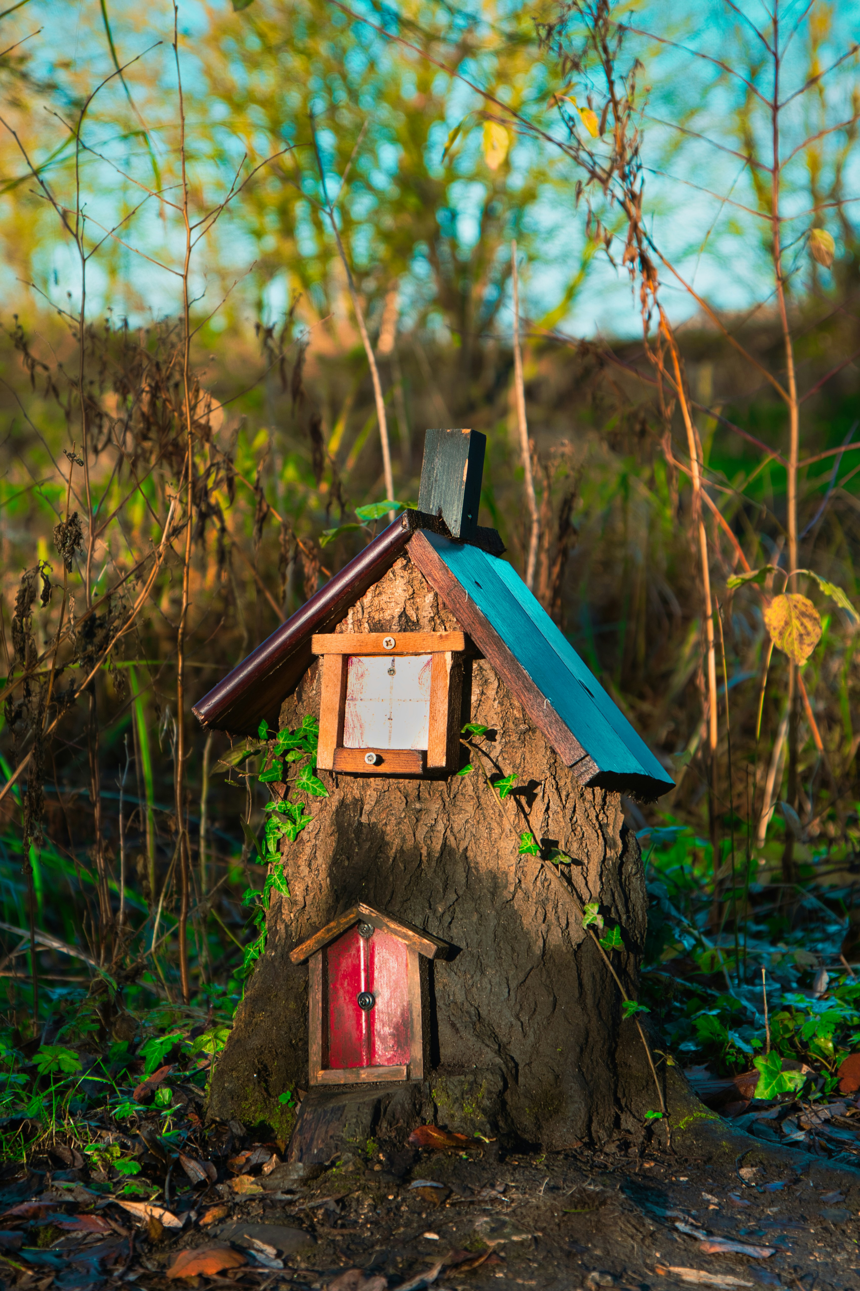 Stump-Side Cottage: A Tiny Woodland House with Colorful Roofs