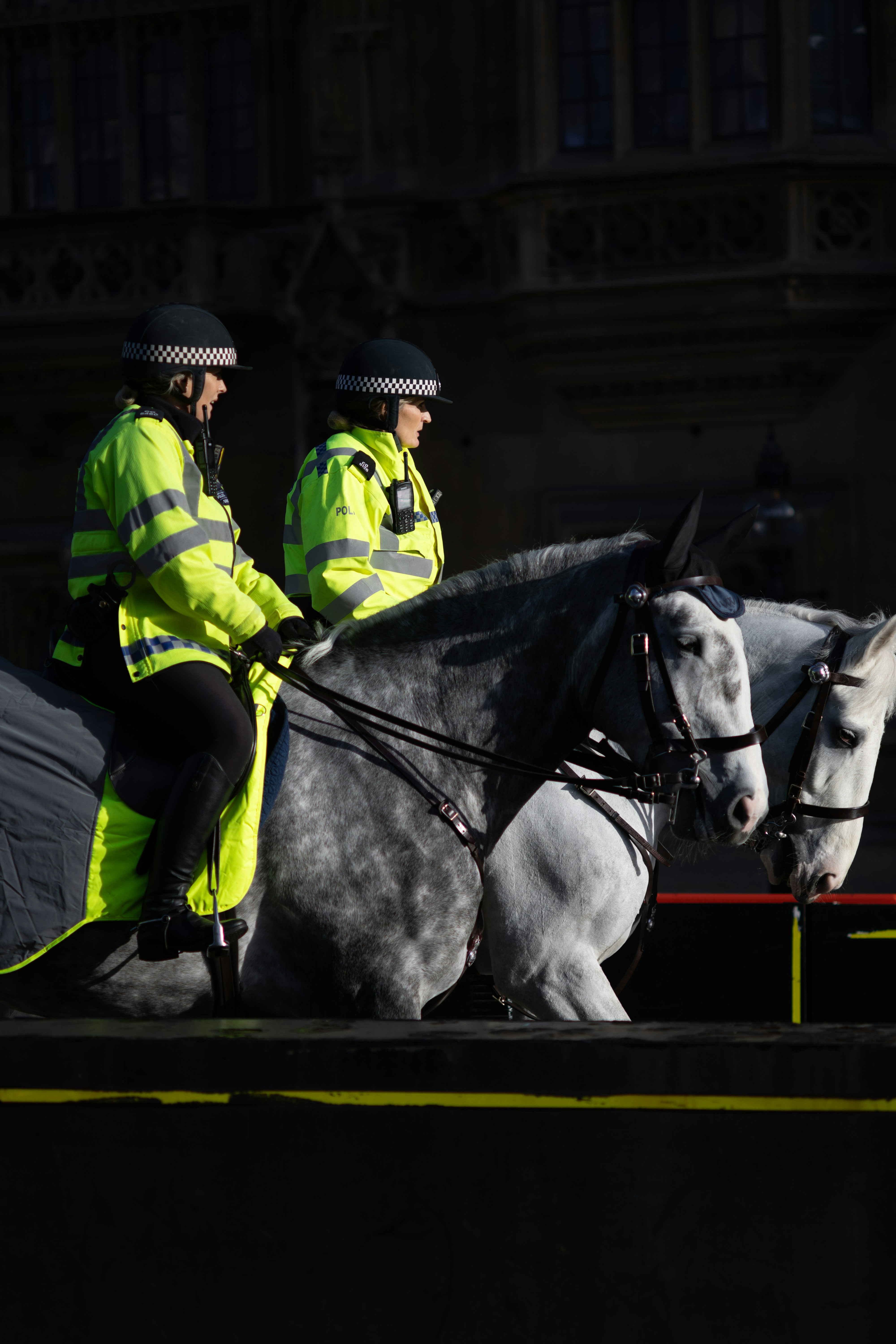Two police officers riding on the backs of horses photo – Free Horse ...