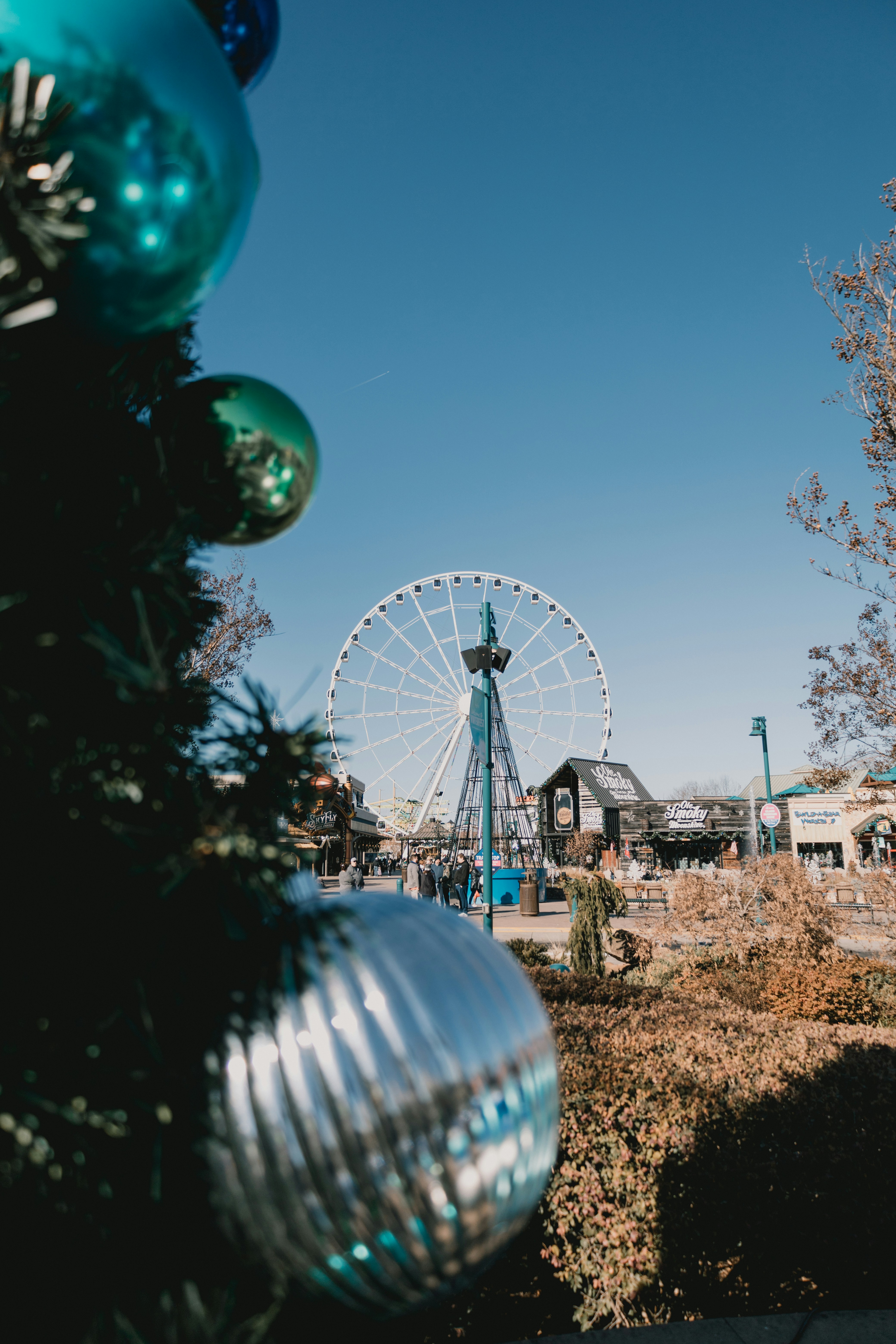 A ferris wheel and a christmas tree in a park photo – Free Blue Image ...
