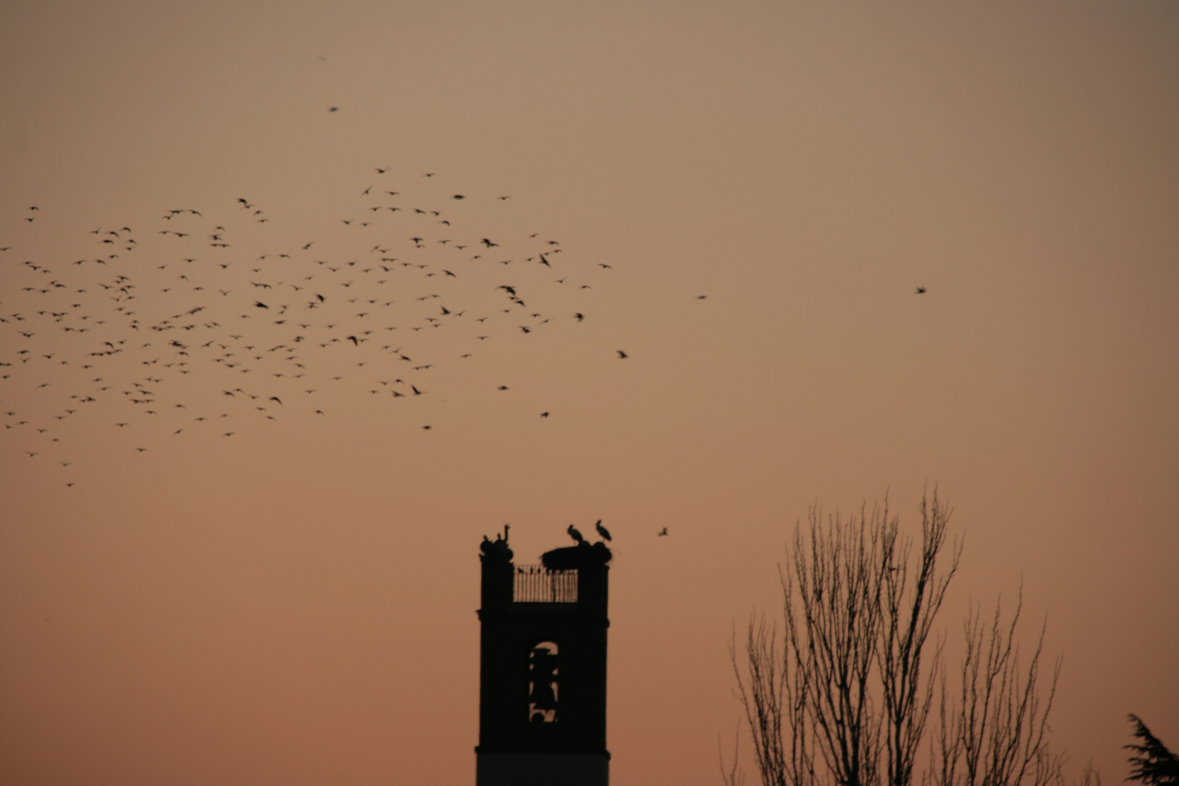 Photo by Gerard Cos with Canon EOS 400D