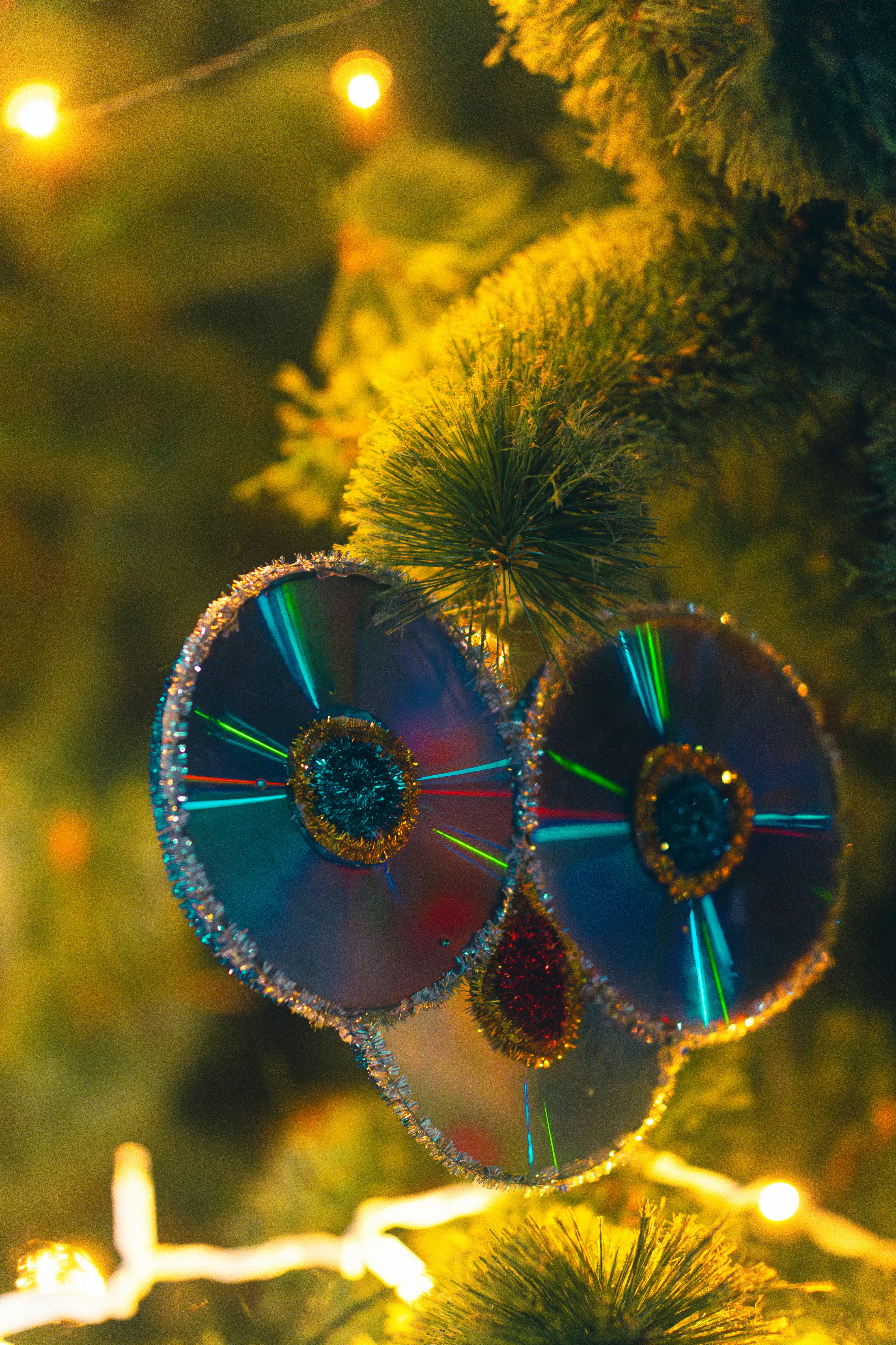 photo taken with sony zv-e10, lens Sigma 56