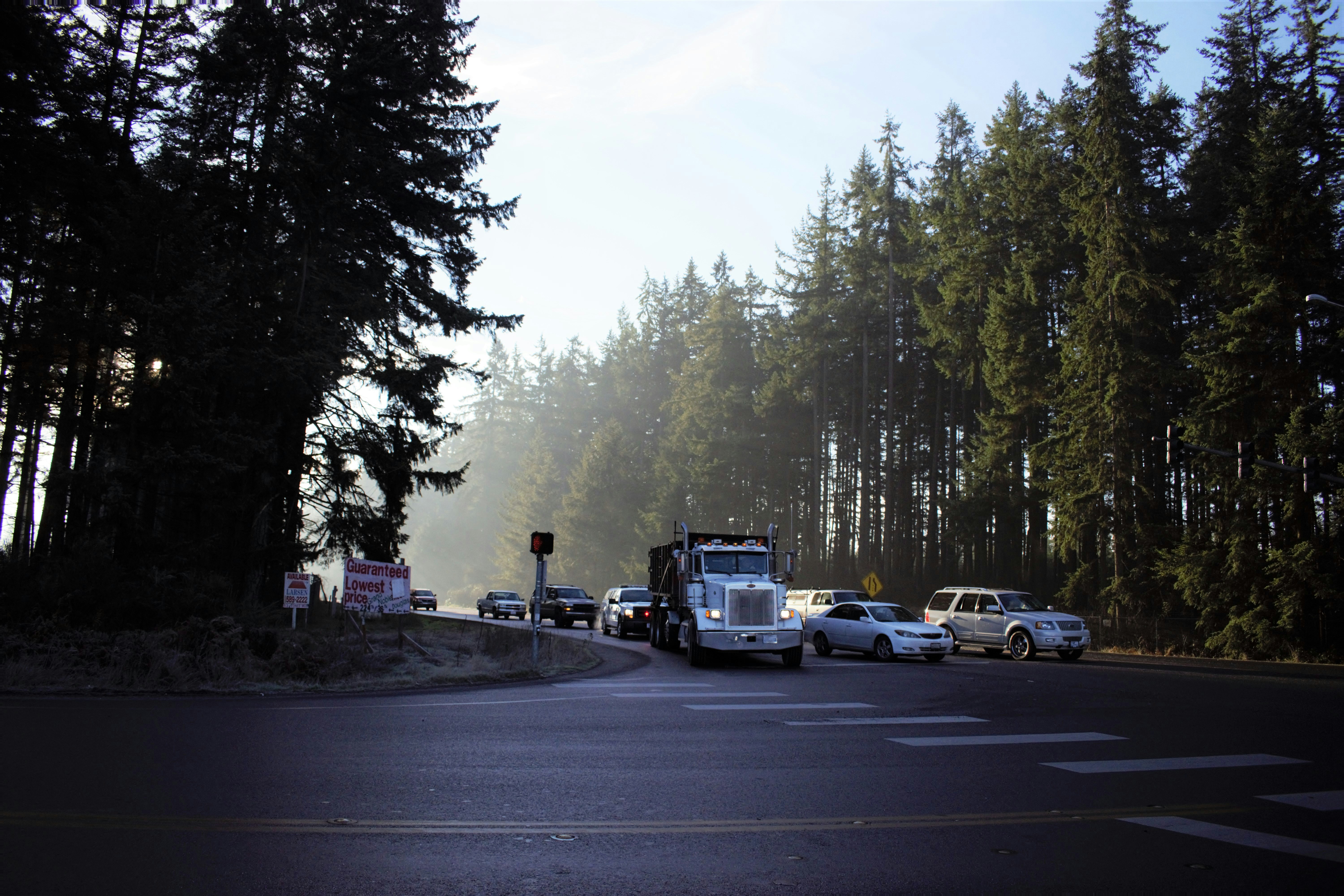 Dawn Queue at the Pine-Hung Mountain Roundabout