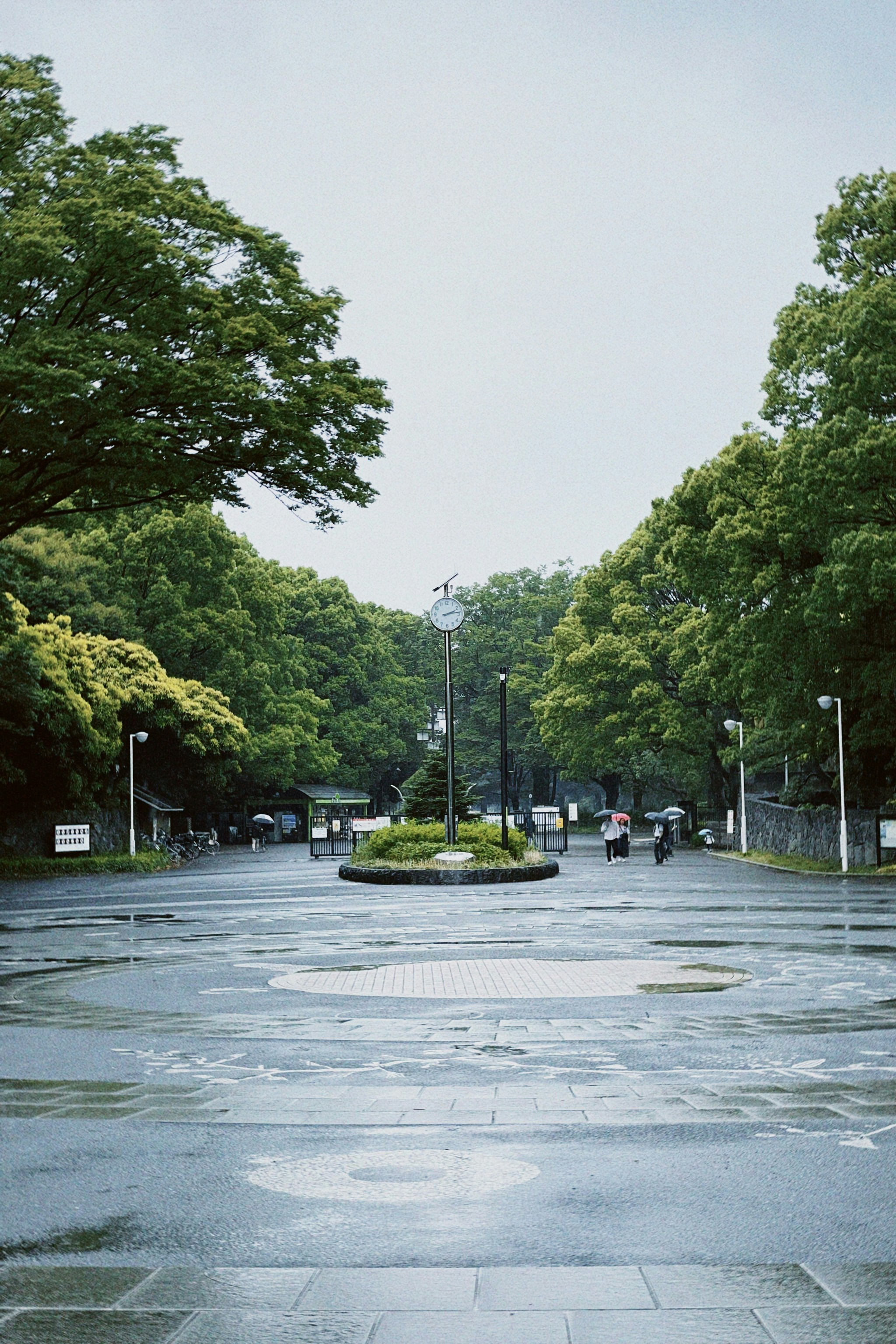 Clock Tower Centerstage in a Rain-Washed Park
