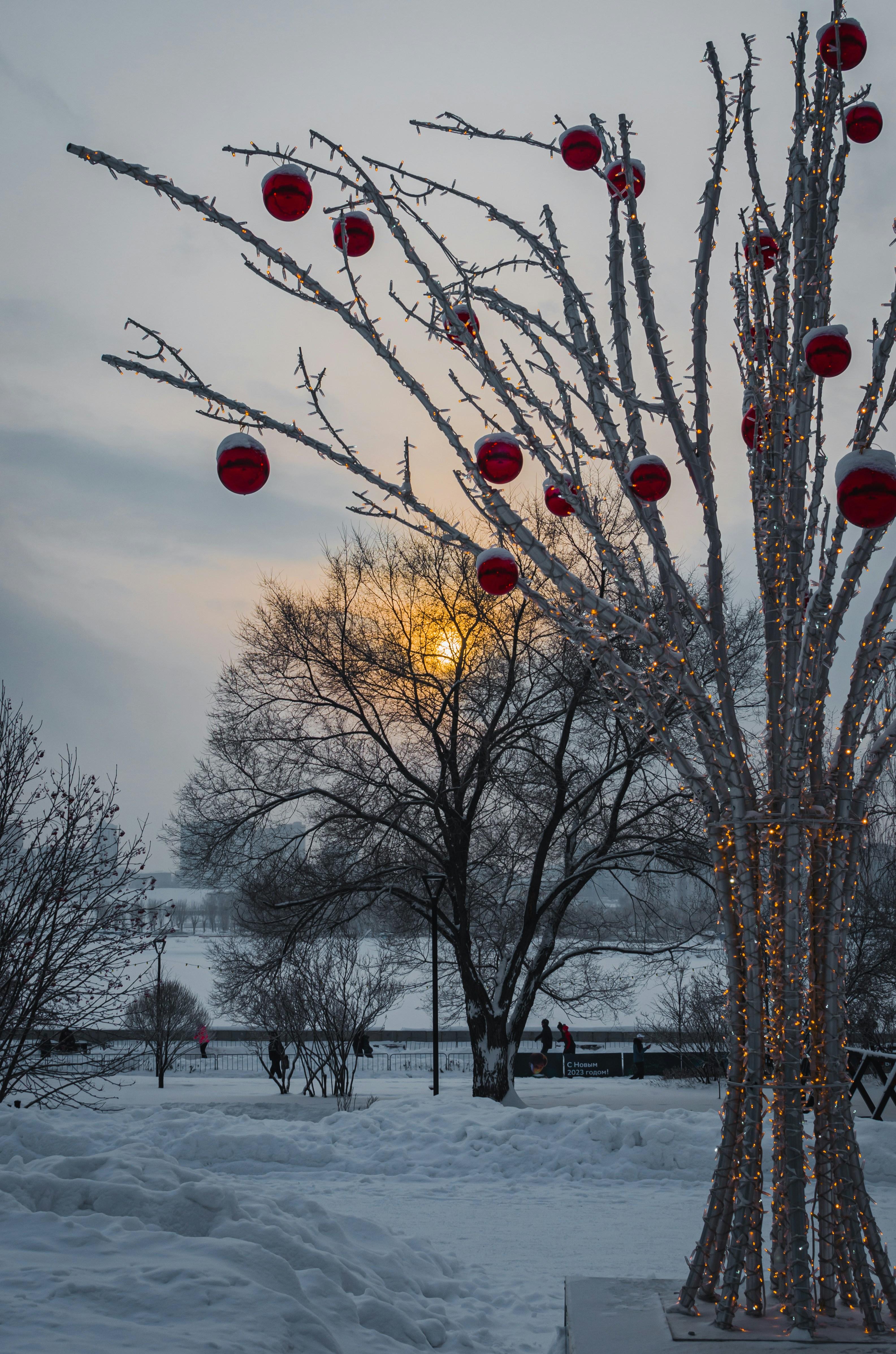 Red Ornaments Adorn a Frosted Tree Against a Winter Sunset