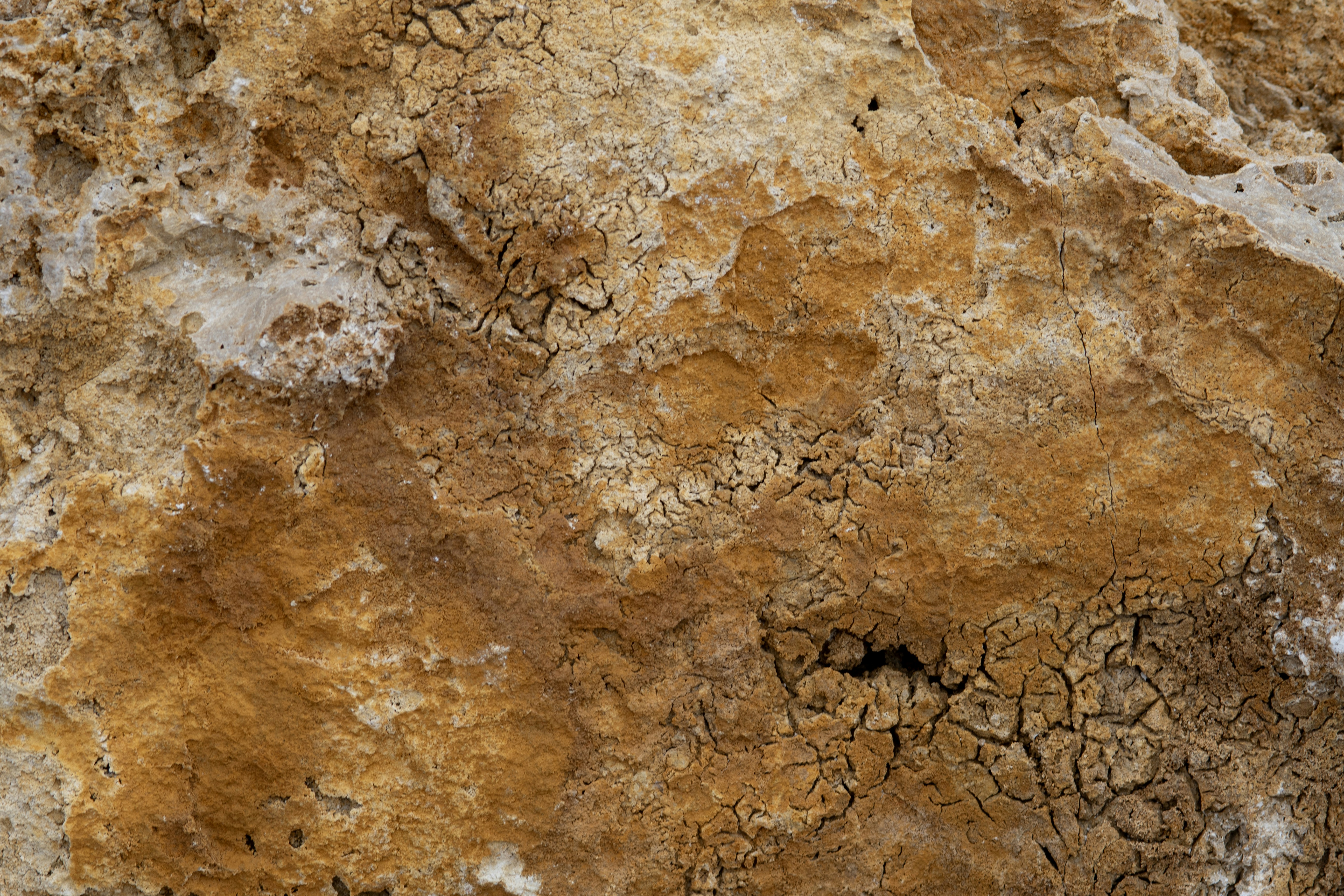 Photo by Trac Vu with Nikon D500