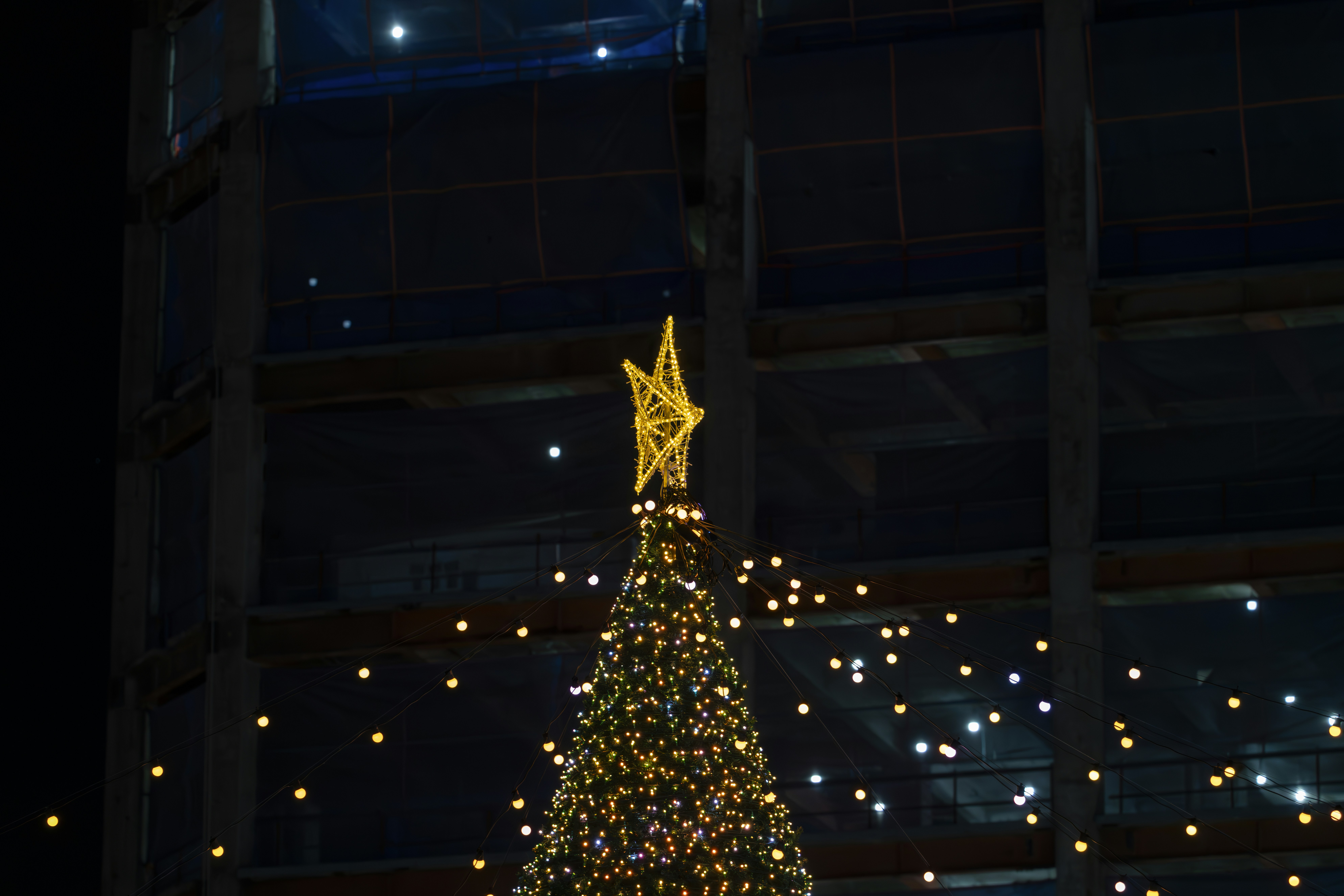 A Crowned Star Illuminates a Silent Atrium Christmas Tree