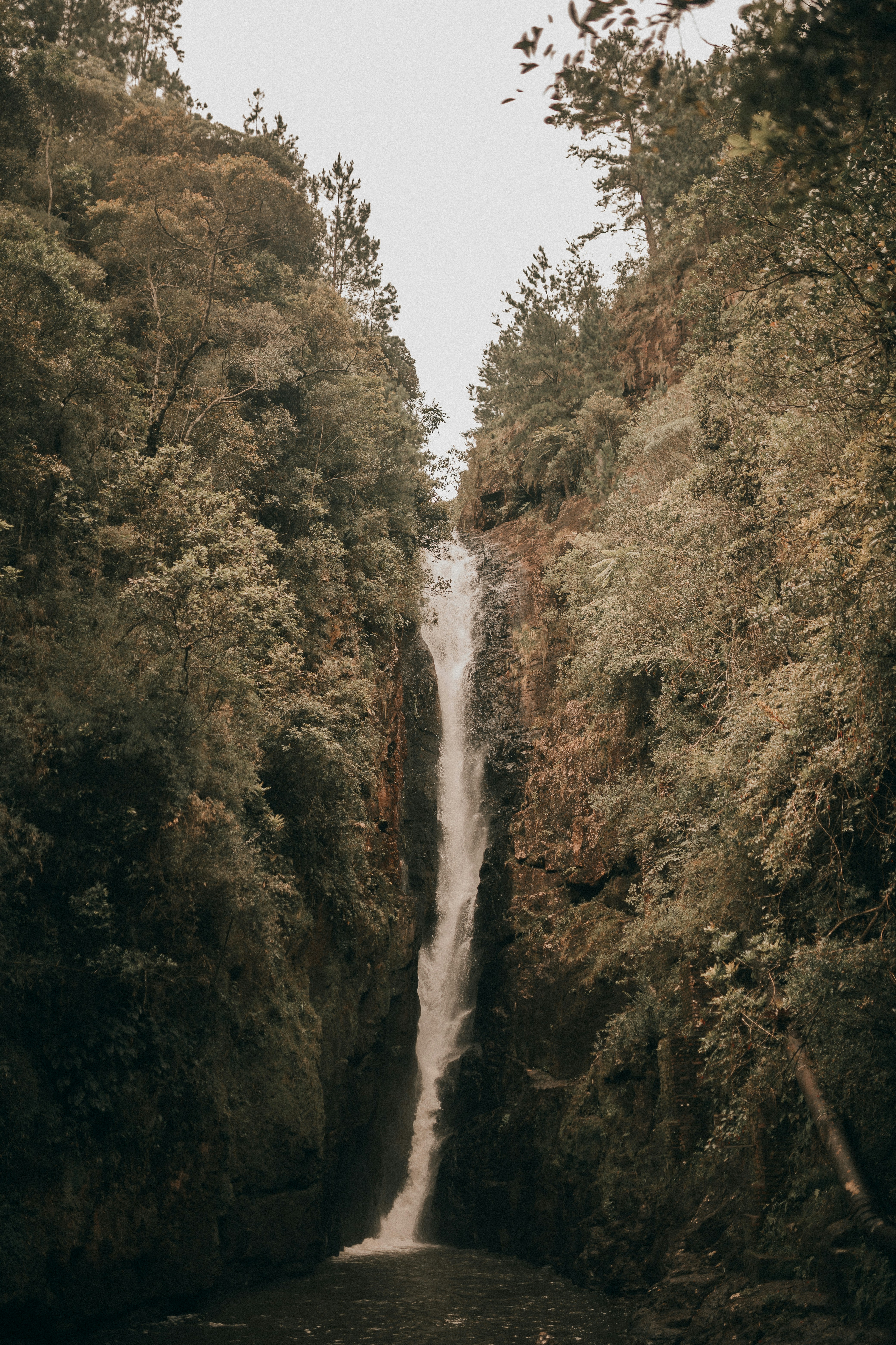 A very tall waterfall in the middle of a forest photo – Free Vegetation ...