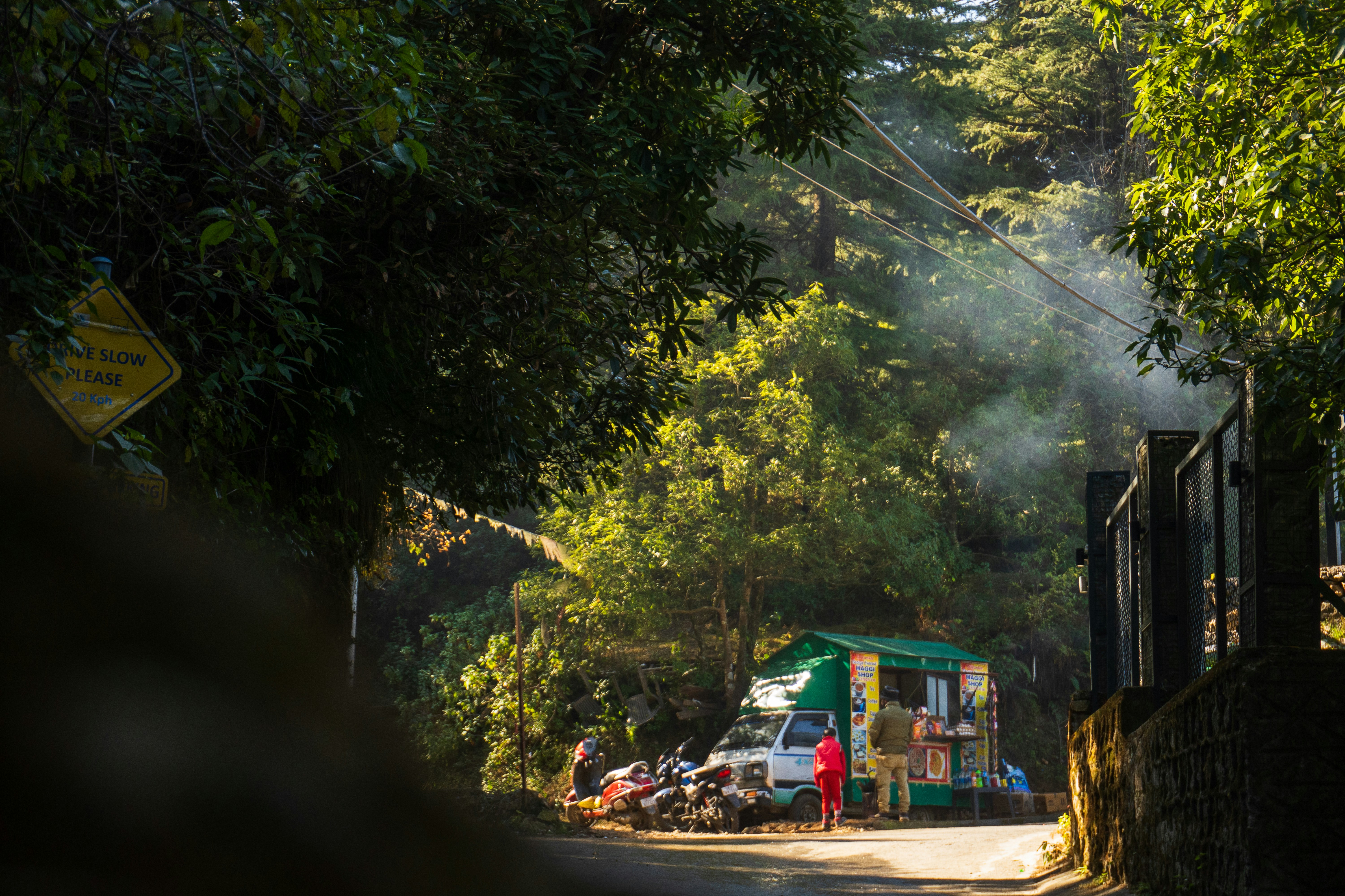 Steam and Sunbeams Over a Tree-Lined Street Stall
