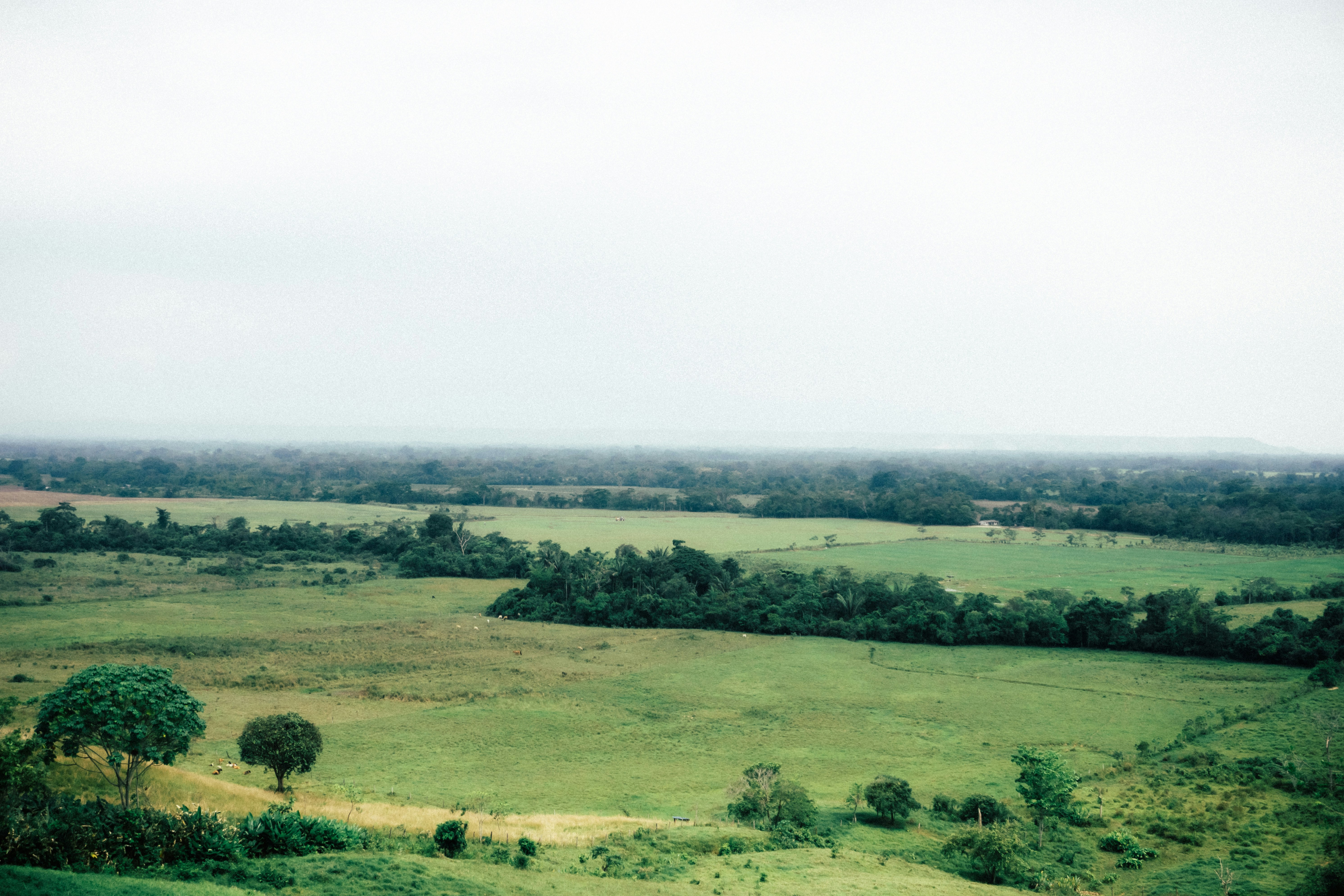 Expansive green fields stretch under a cloudy sky, dotted with clusters of trees.