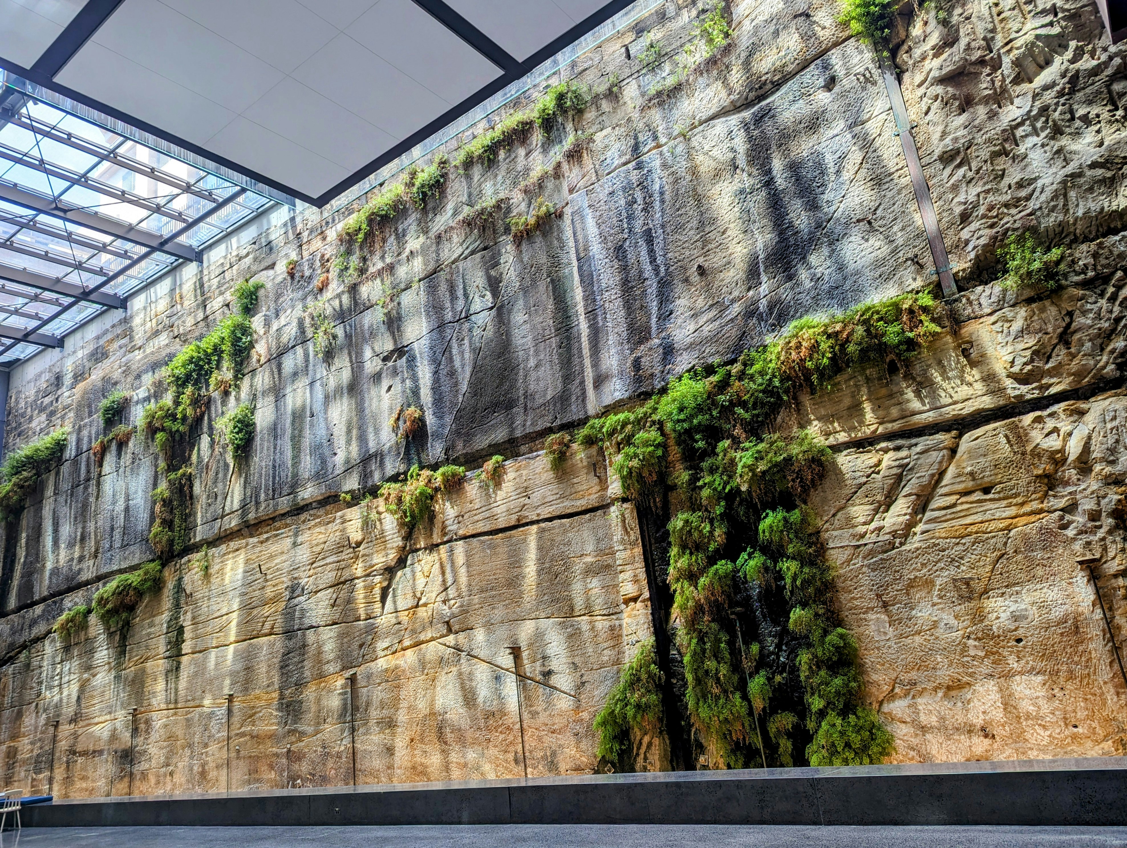Moss Veins on a Limestone Curtain Beneath a Glass Atrium