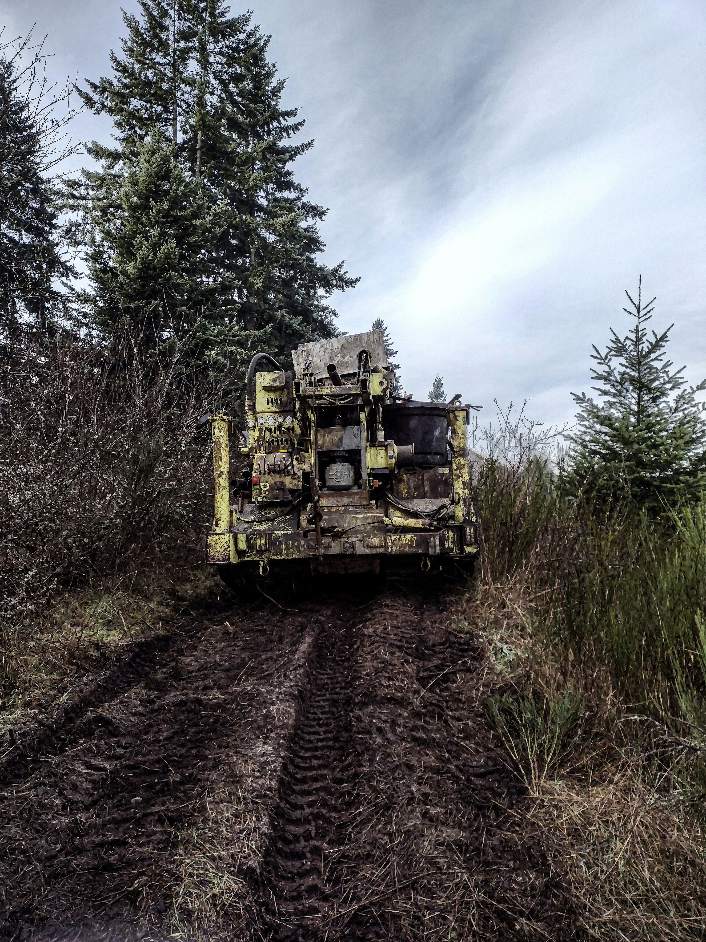 Mud-Streaked Forest Trail, Home to a Weathered Yellow Tracker