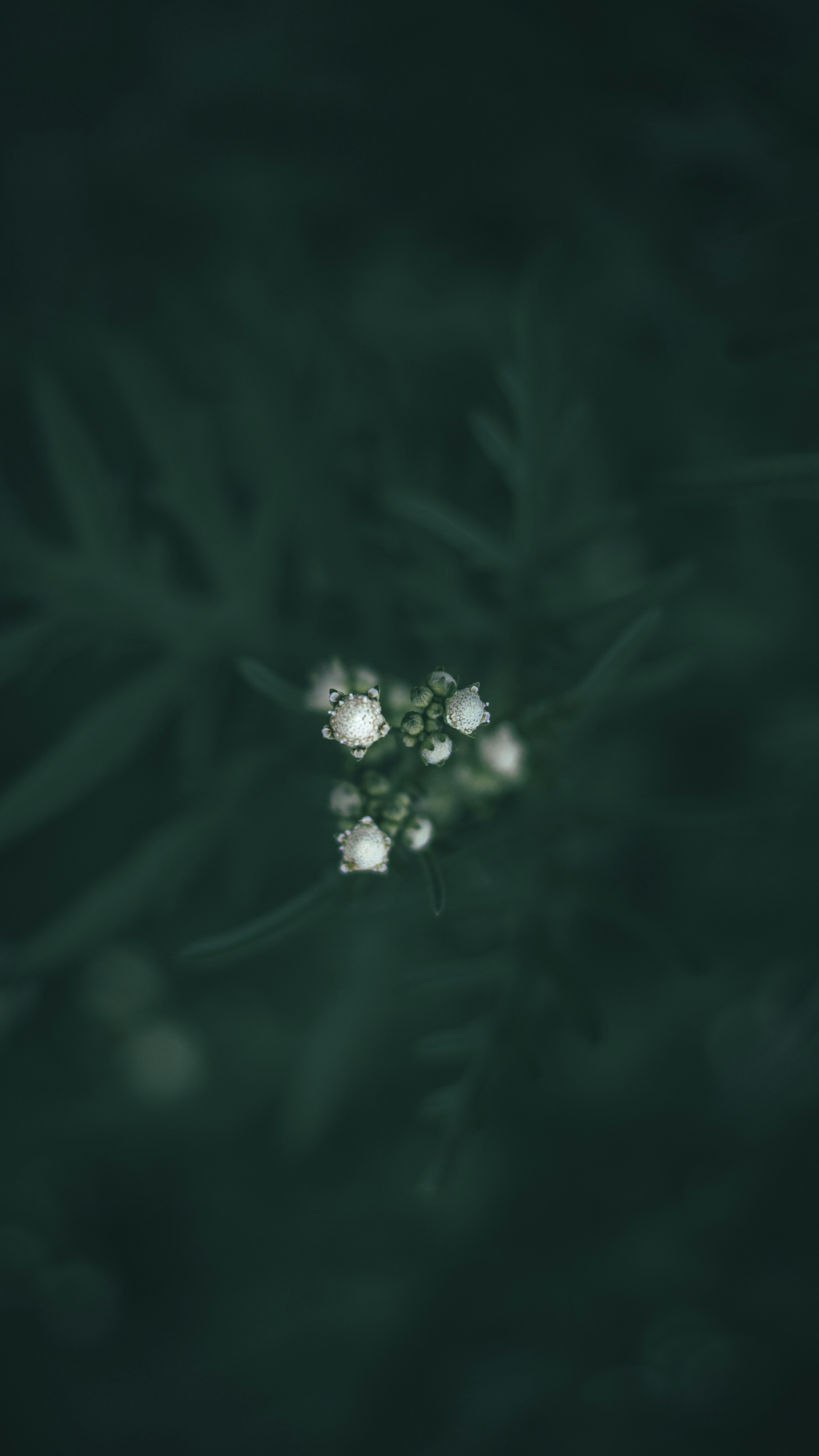 Shiva Aathi (@shiva_aathi) | Komunitas Foto Unsplash