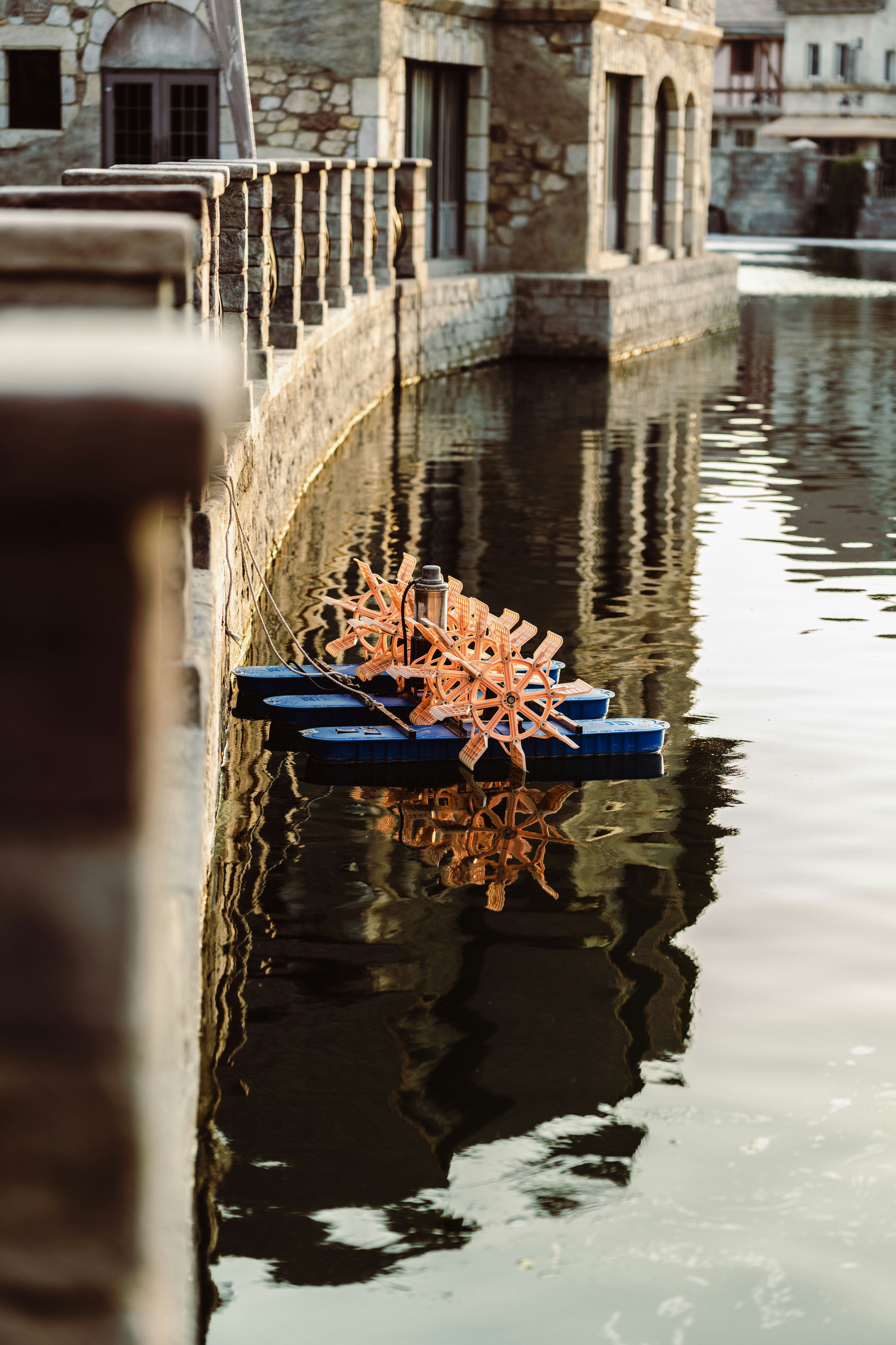 Photo by aboodi vesakaran with Sony Alpha 7R IV