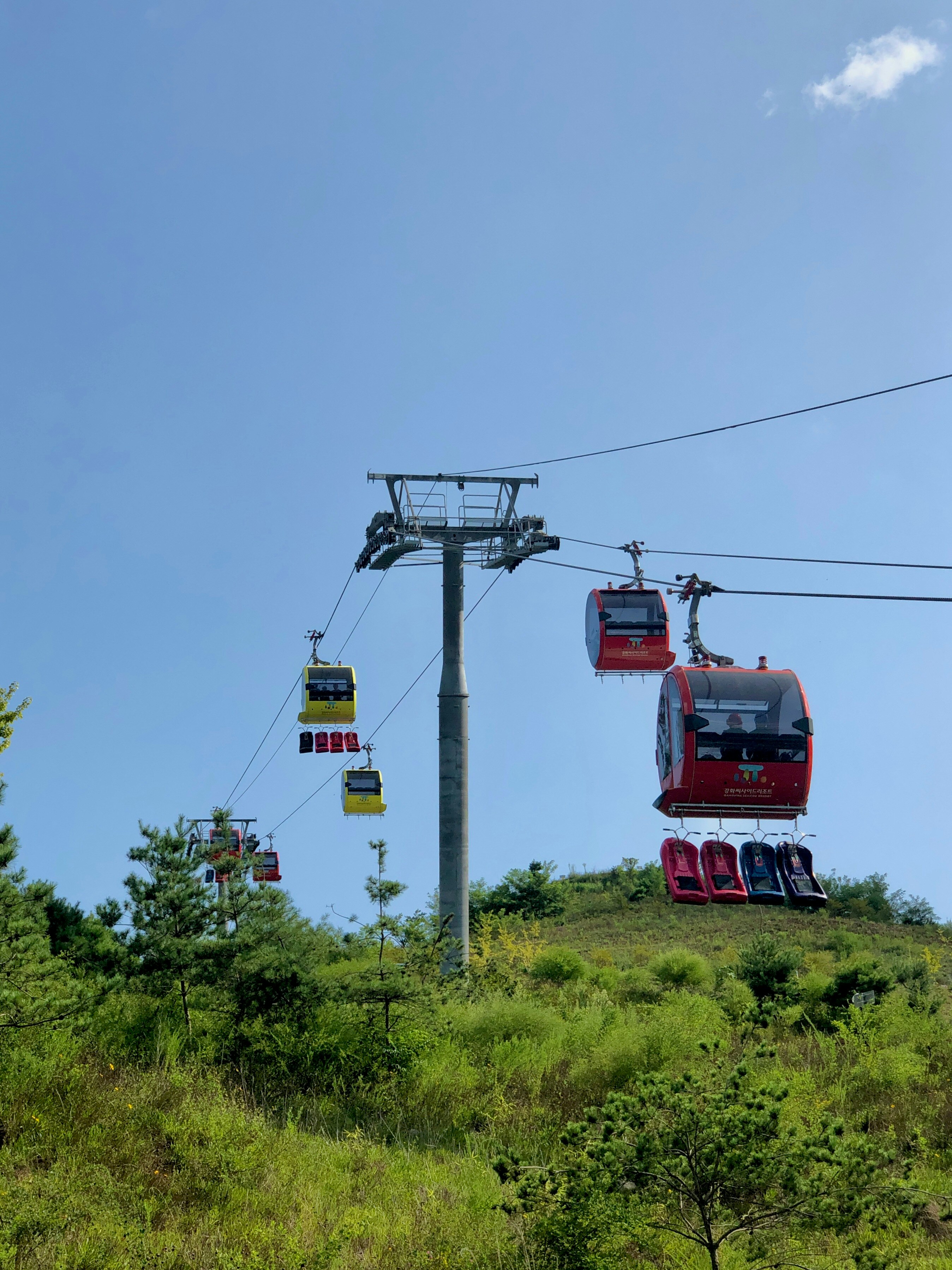 Crimson Cable Car Across a Blue Sky: A Verdant Ridge Voyage