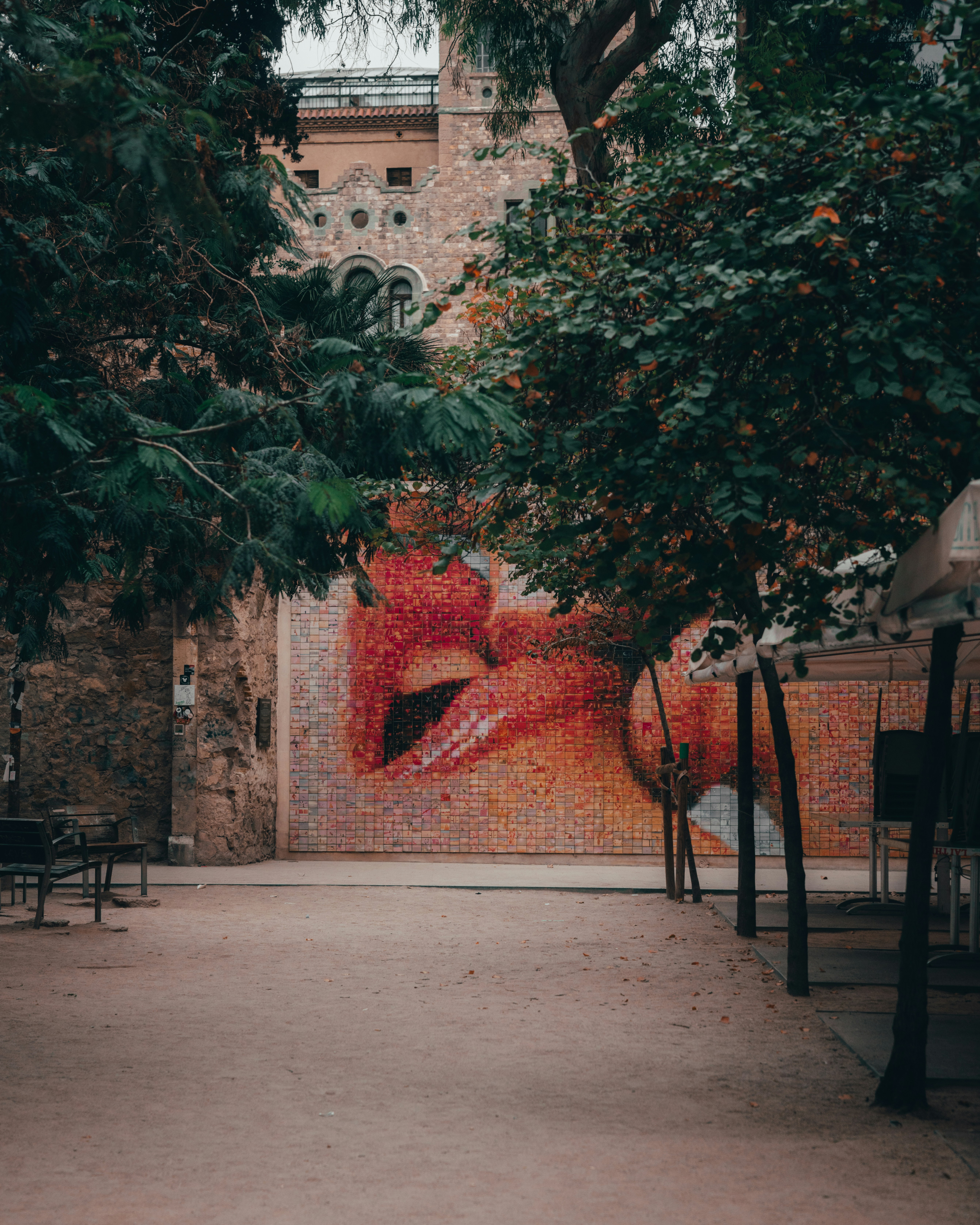 Mosaic of Melon-Tinted Graffiti Beneath Dappled Canopy