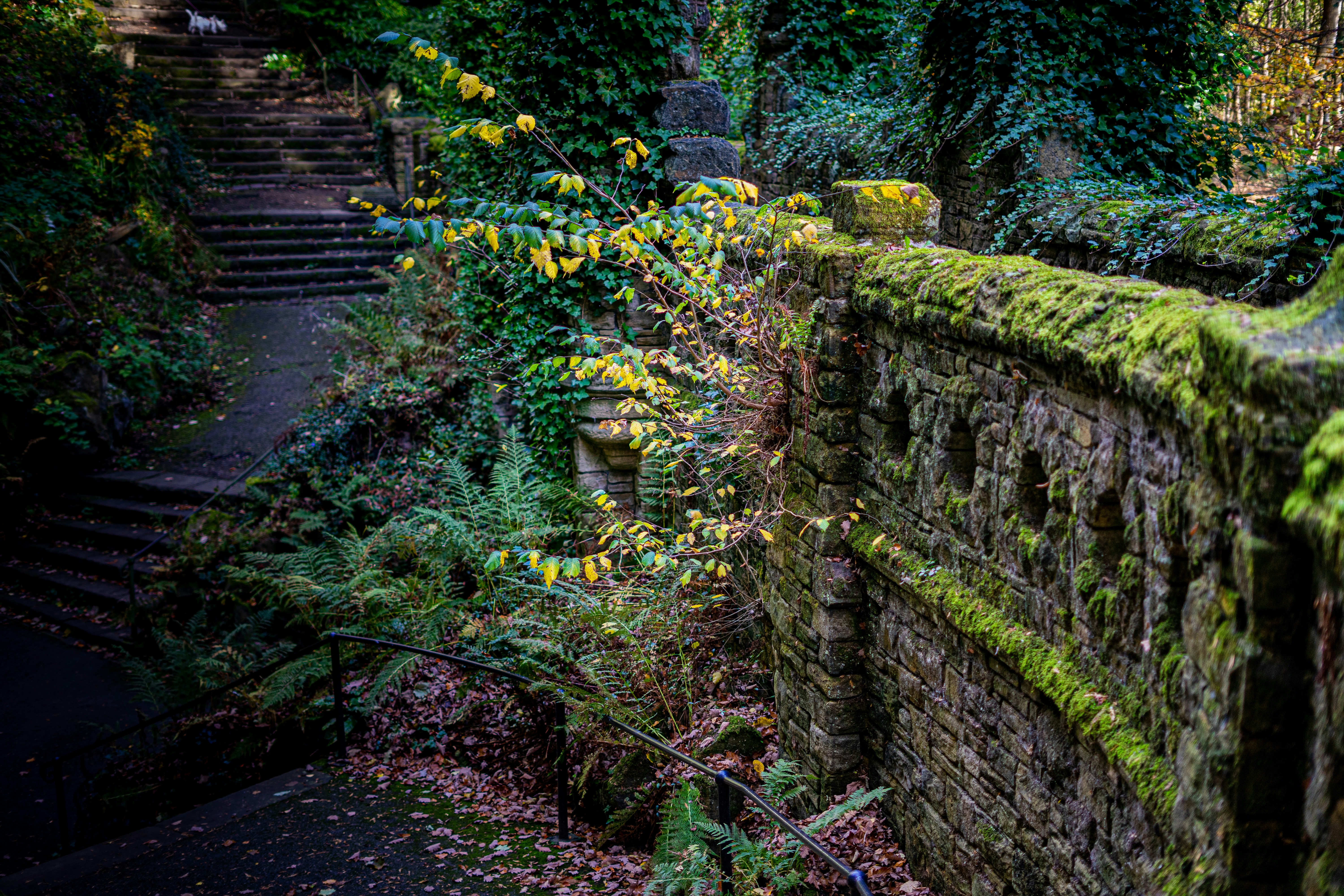 Ancient stone bridge enveloped in vibrant green moss amidst a dense forest.