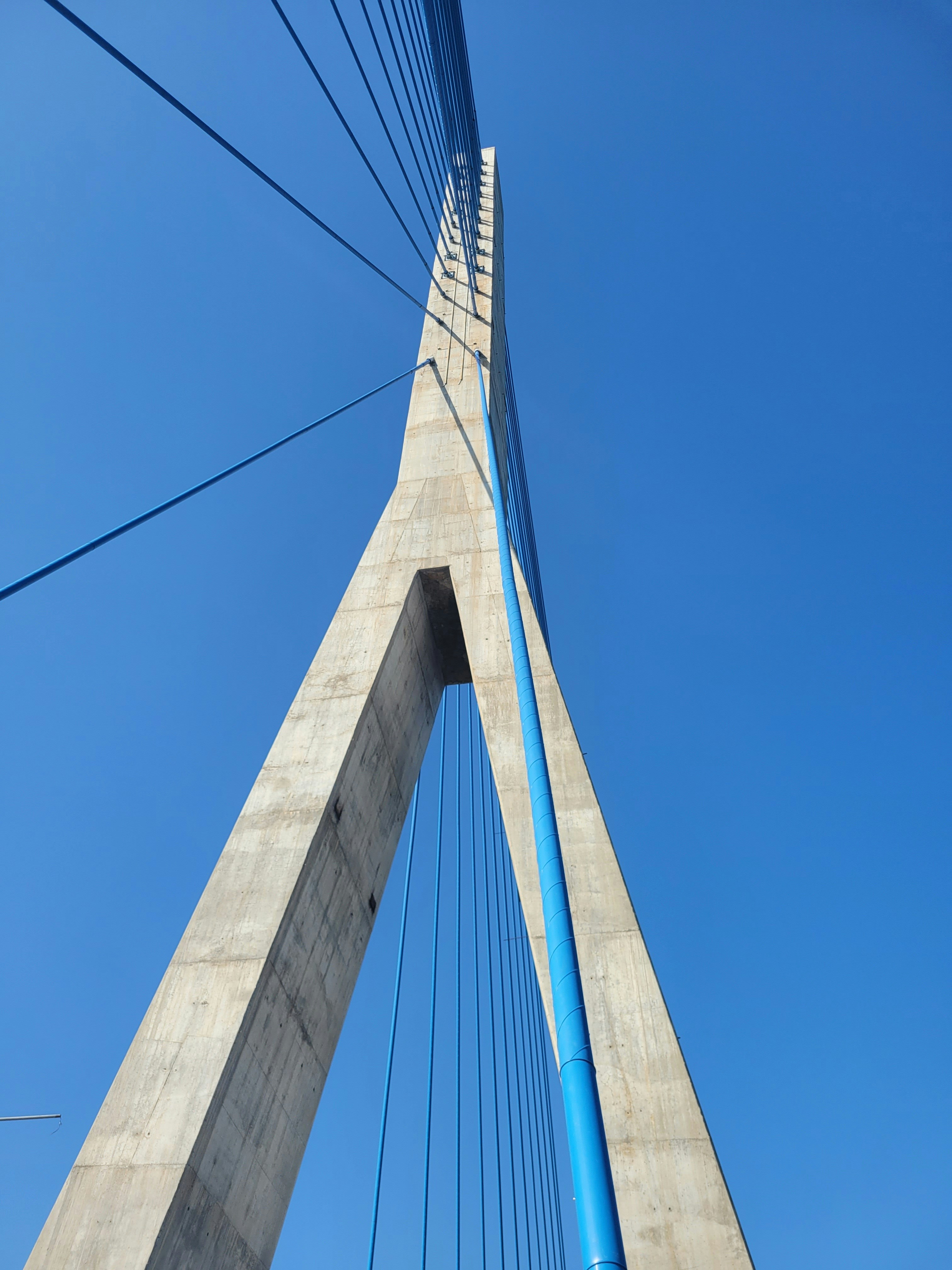 Photo by Kashish Kumar with Samsung Galaxy S21