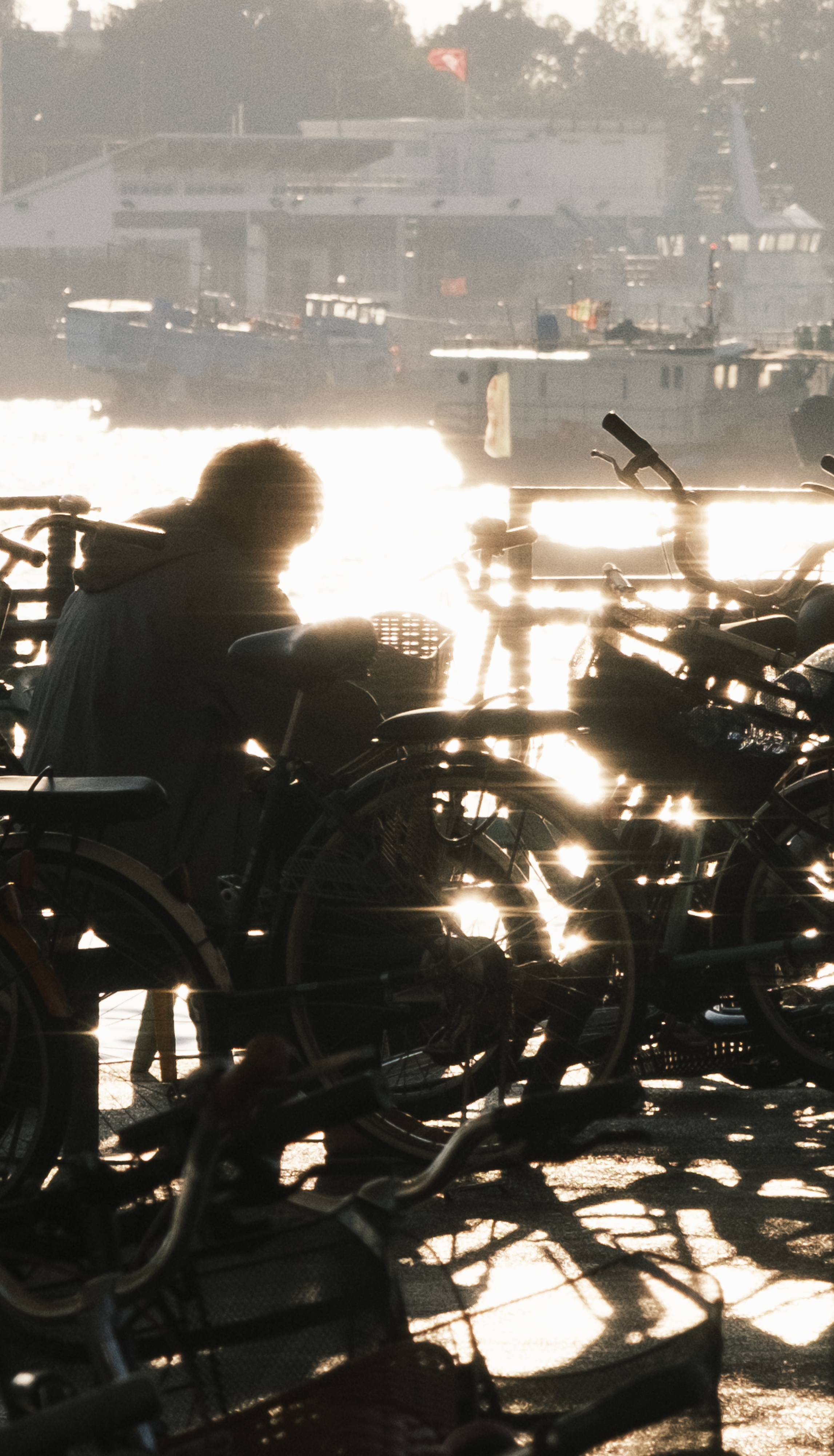 Sunlit Reflections by the Waterfront