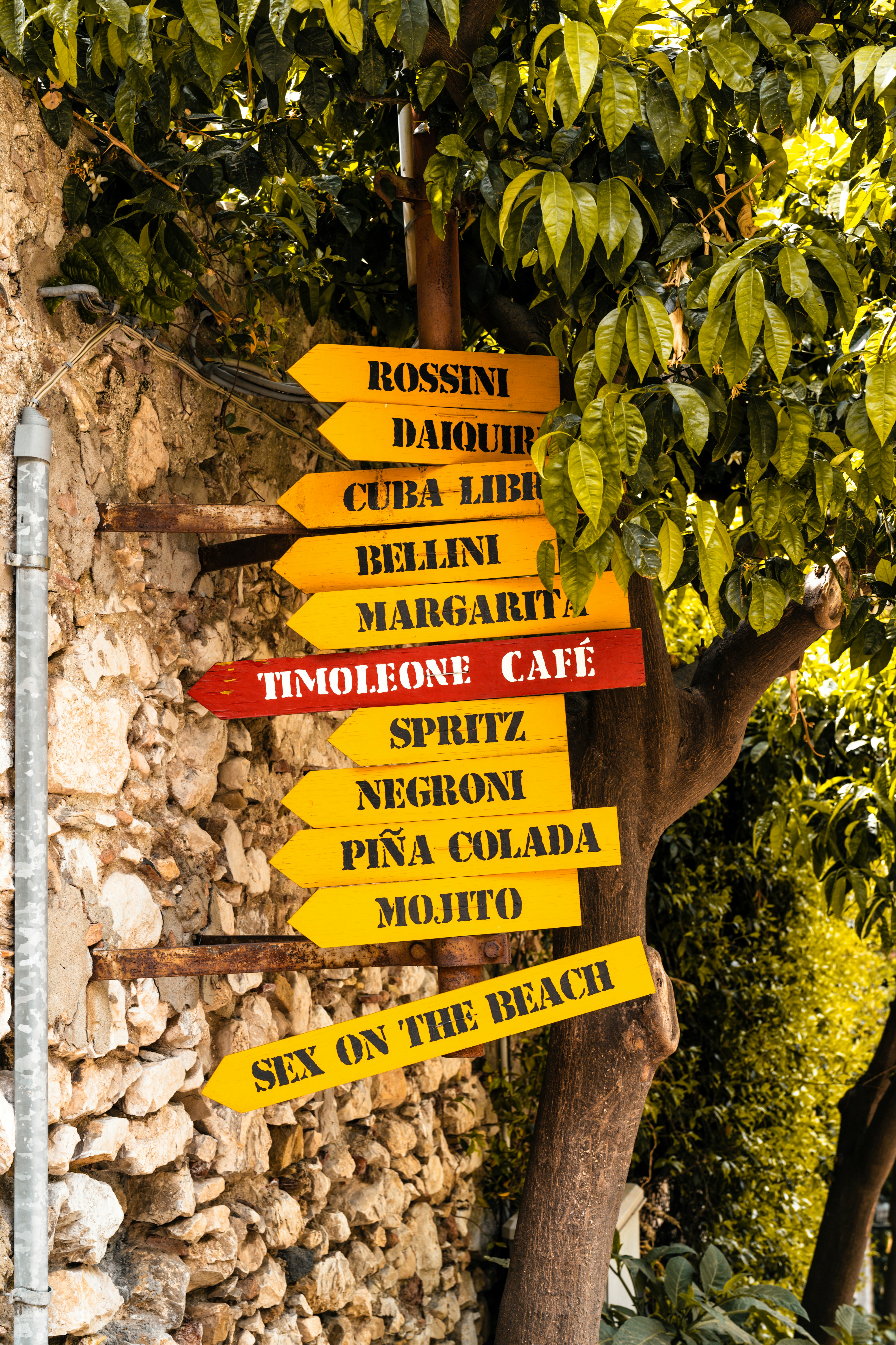 Yellow Arrow Parade: Signposts Brushing a Stone Wall Under Green Canopy