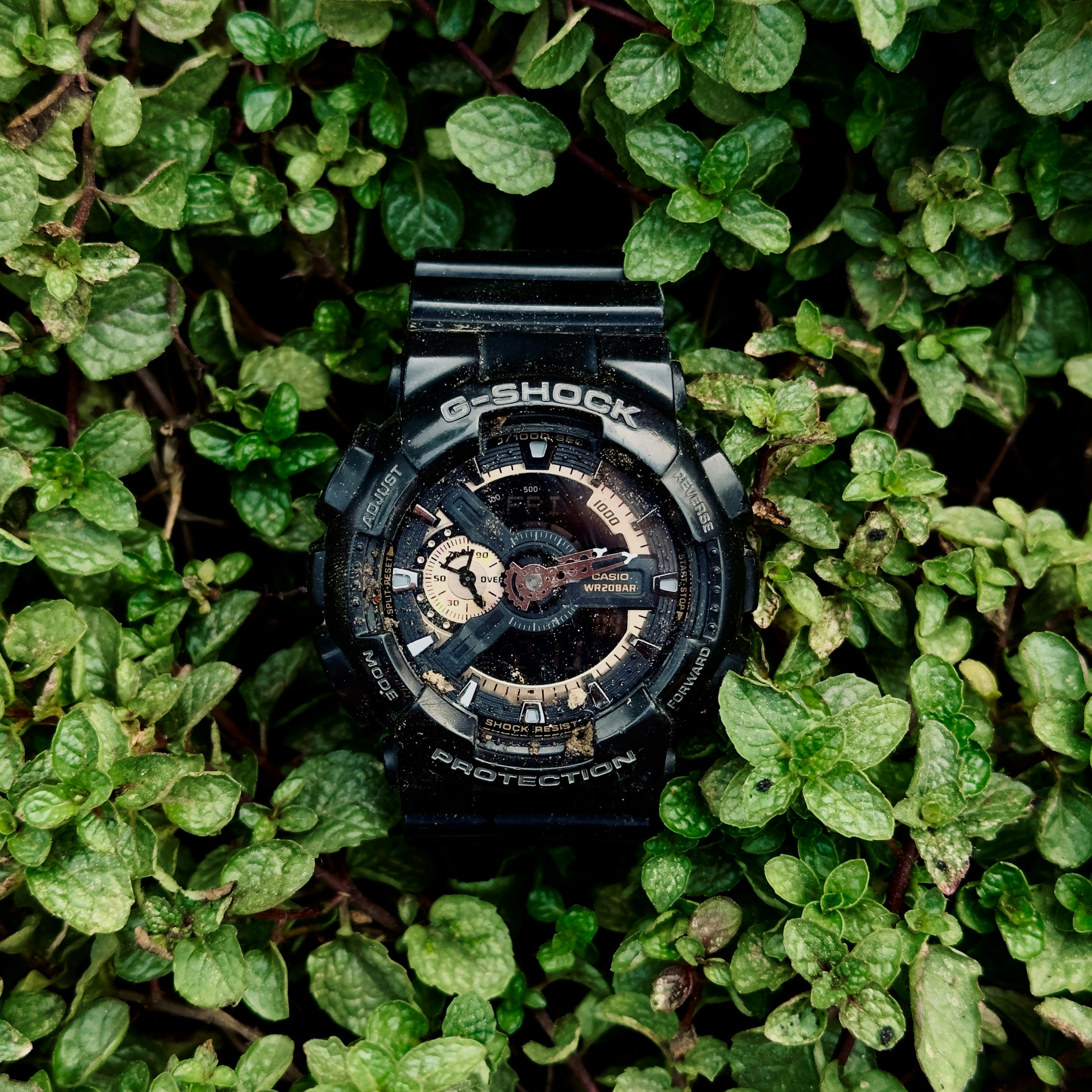 G-SHOCK in the Green: Rugged Dial Peeking Through a Sea of Leaves
